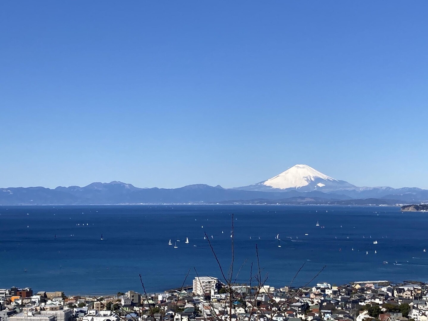 仙元山・ソッカ・観音塚・高塚・大桜・茅塚・矢落山（乳頭山） / hiro-peakさんの三浦アルプス・二子山・仙元山の活動データ | YAMAP / ヤマップ