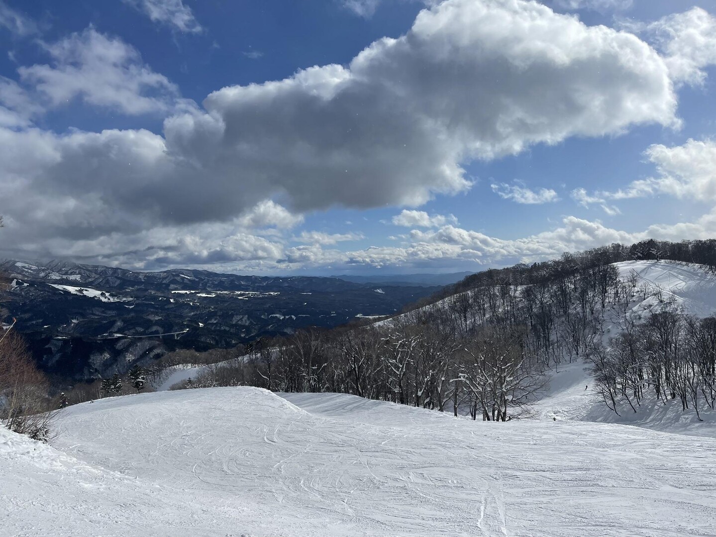 ダイナランド-2023-01-04 / MSKさんの大日ヶ岳・毘沙門岳の活動データ | YAMAP / ヤマップ