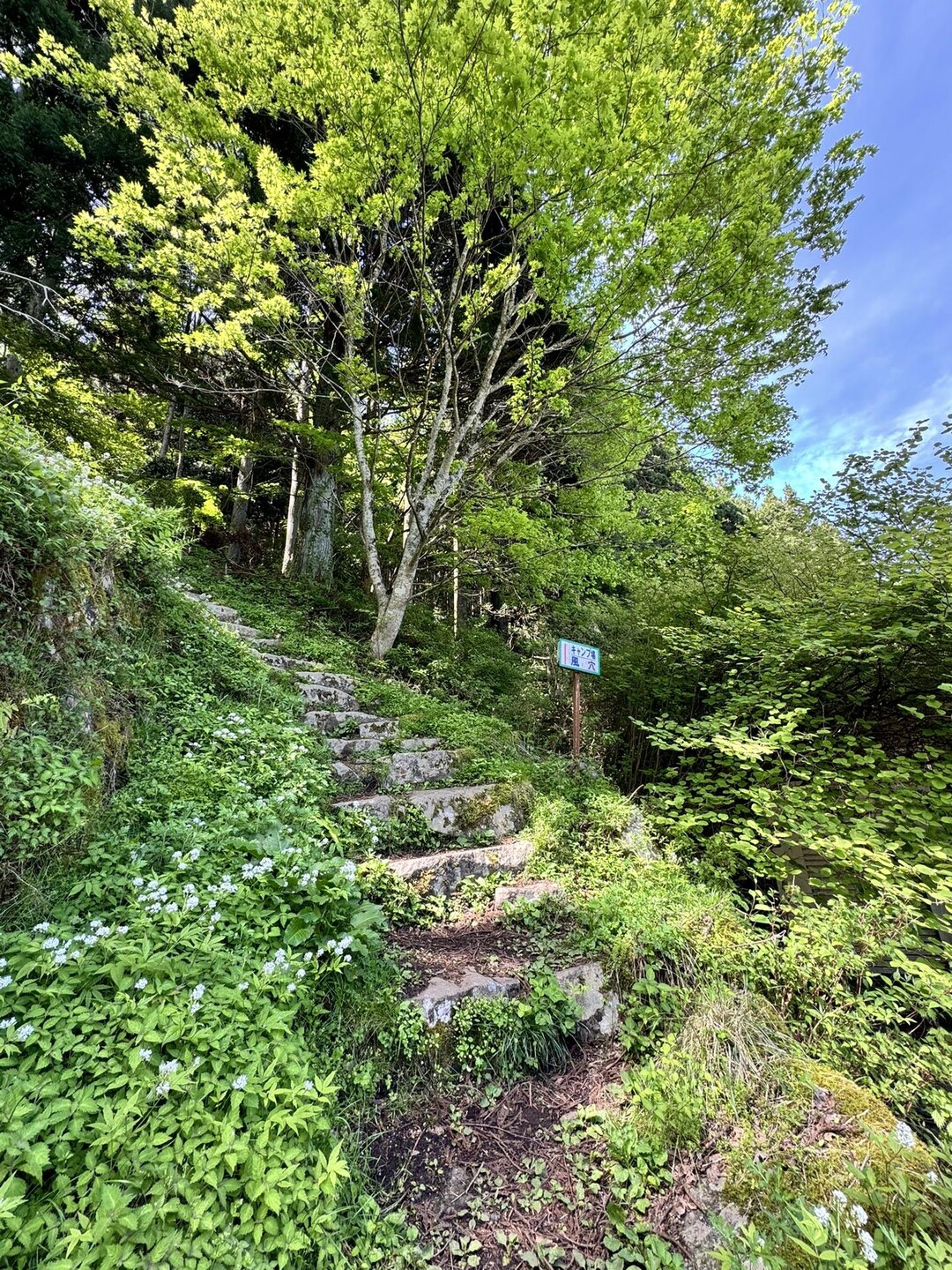 皿ヶ嶺 / momoさんの皿ヶ嶺・梅ヶ谷山・うなめごの活動データ | YAMAP / ヤマップ