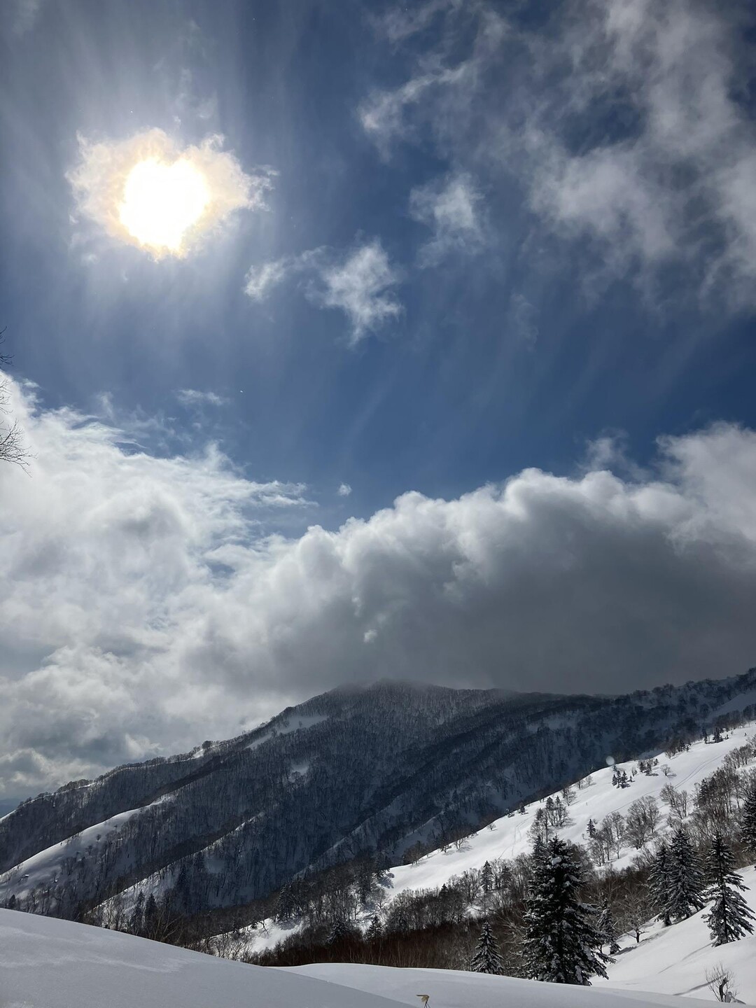 主府久・ハッタオマナイ岳 / fu-miさんのハッタオマナイ岳の活動データ | YAMAP / ヤマップ