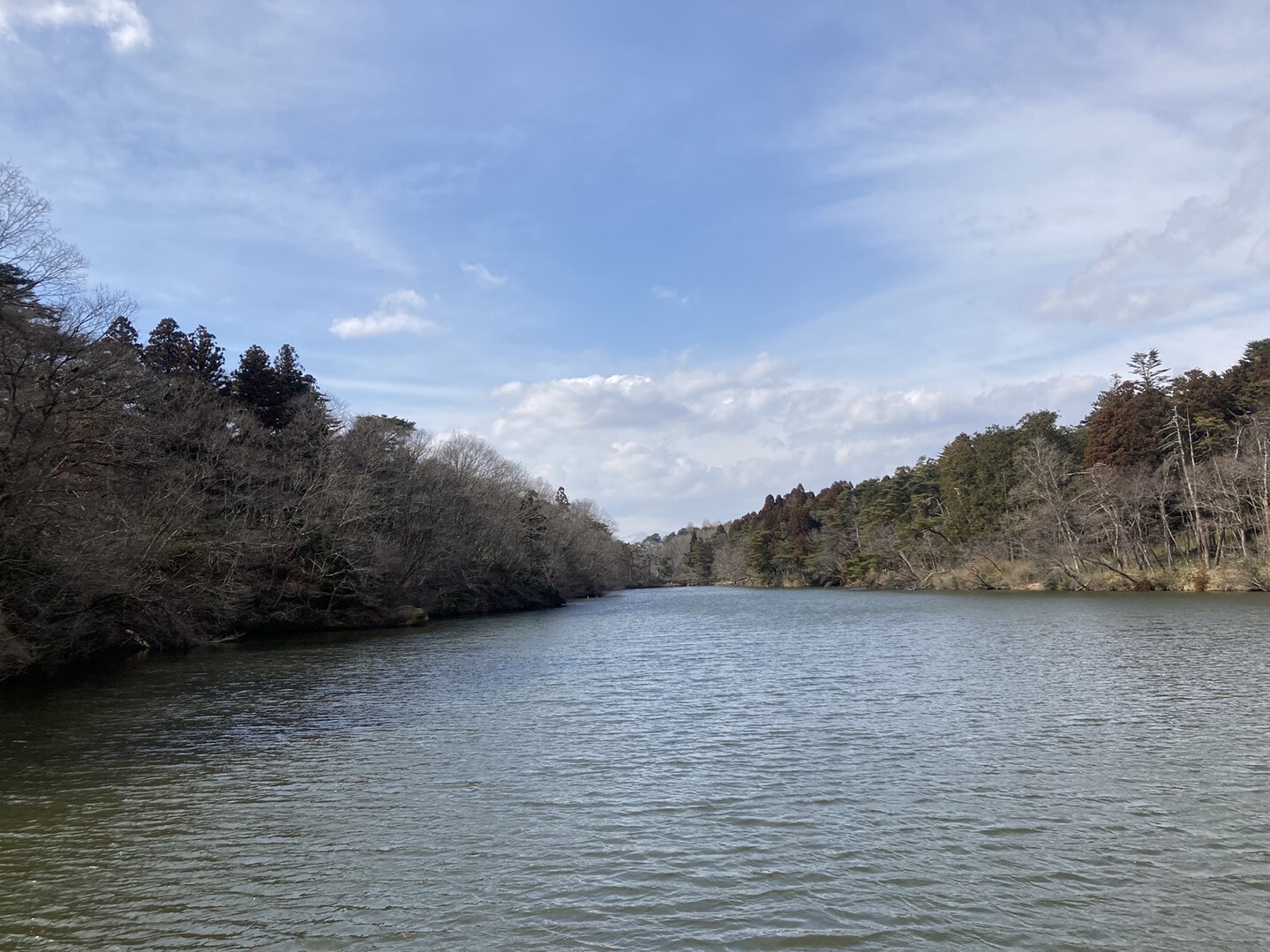 こんにちは^ ^ 今日はお日さまの光が... / OBsunさんのモーメント | YAMAP / ヤマップ