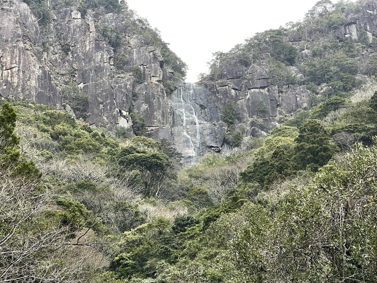 行縢山⛰️空はどんより☁️ / AnKemiさんの行縢山の活動日記 | YAMAP / ヤマップ