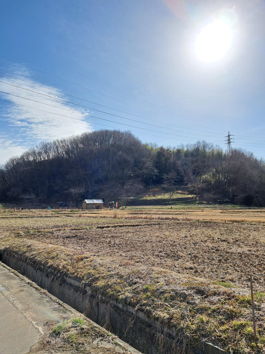 崇台山 / M-Reiさんの崇台山の活動データ | YAMAP / ヤマップ