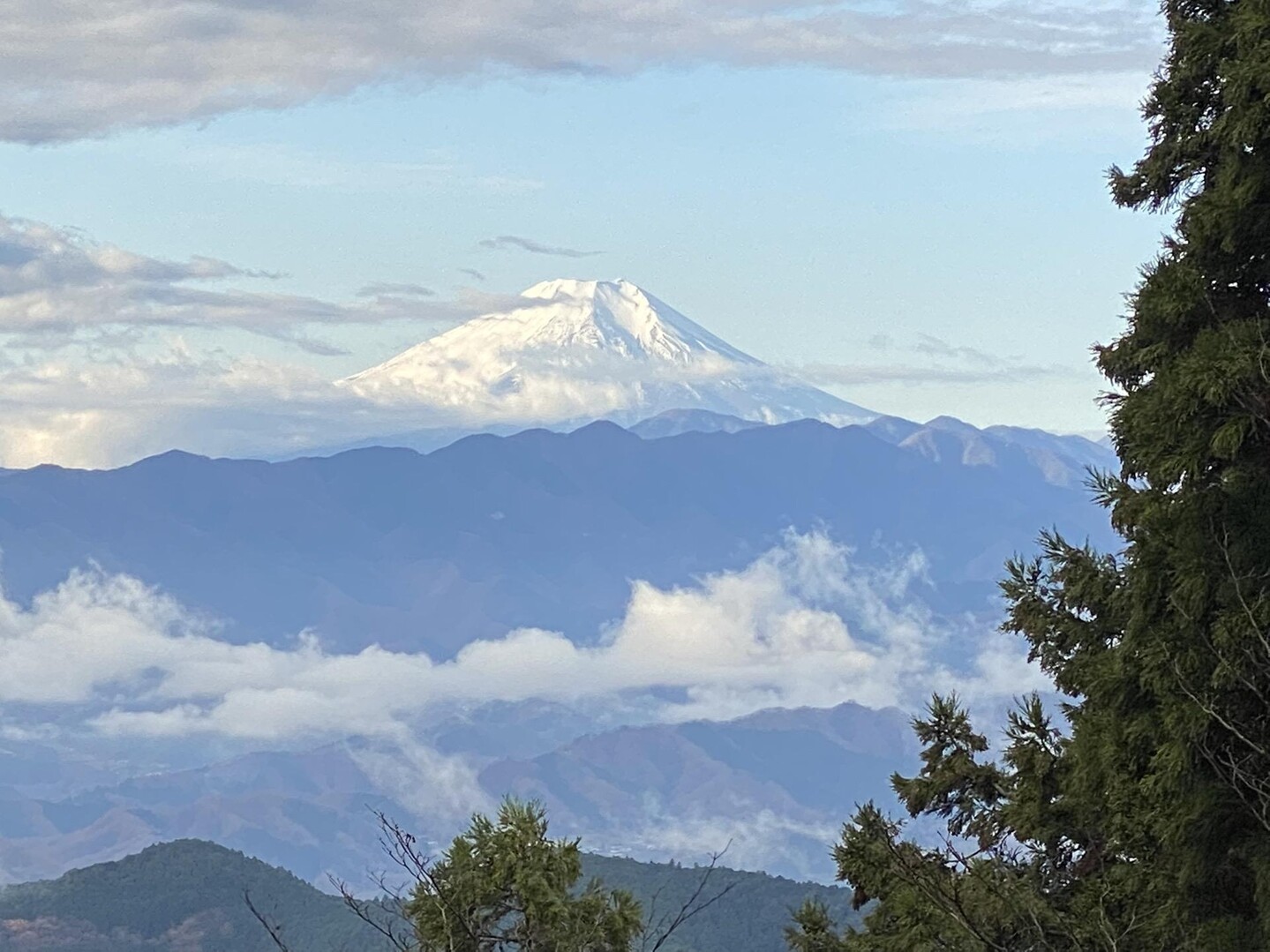 景信山・赤岩山・富士小屋山・南郷山・陣馬山 / 八王子 KTR.OBさんの高尾山・陣馬山・景信山の活動データ | YAMAP / ヤマップ