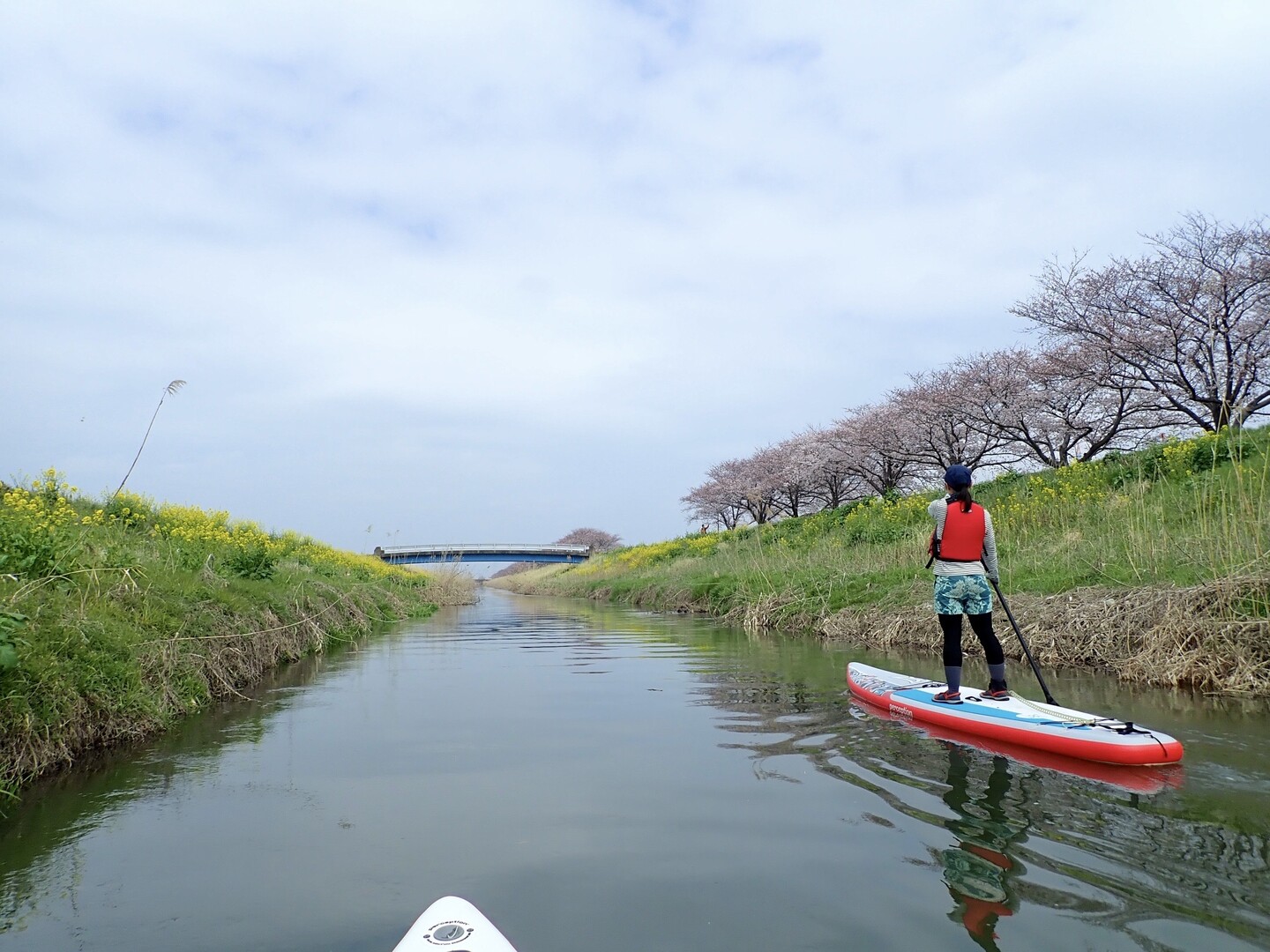 小貝川お花見SUP🌸🌼 / naoさんのスタンドアップパドル(SUP)の活動データ | YAMAP / ヤマップ