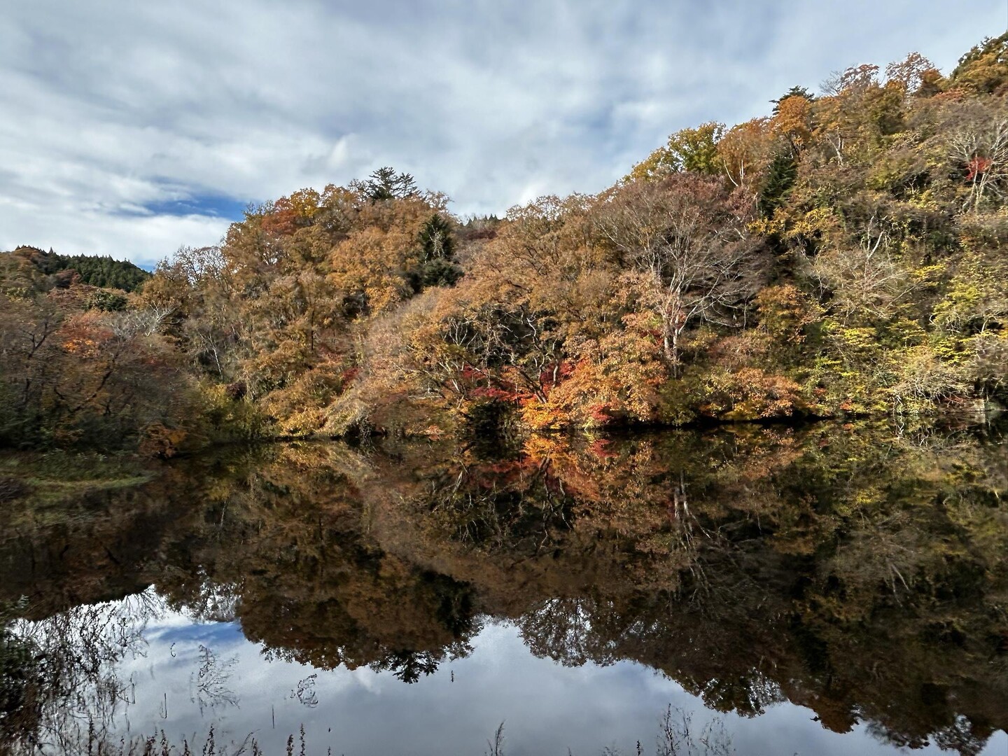 里山散歩-2024-11-27 / kiyoさんのトレイルランニングの活動データ | YAMAP / ヤマップ