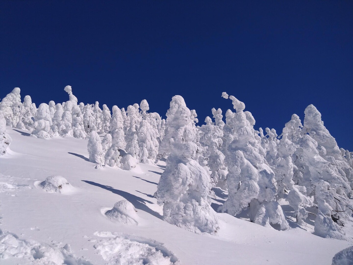 西大巓 / mikafさんの吾妻山・一切経山の活動データ | YAMAP / ヤマップ