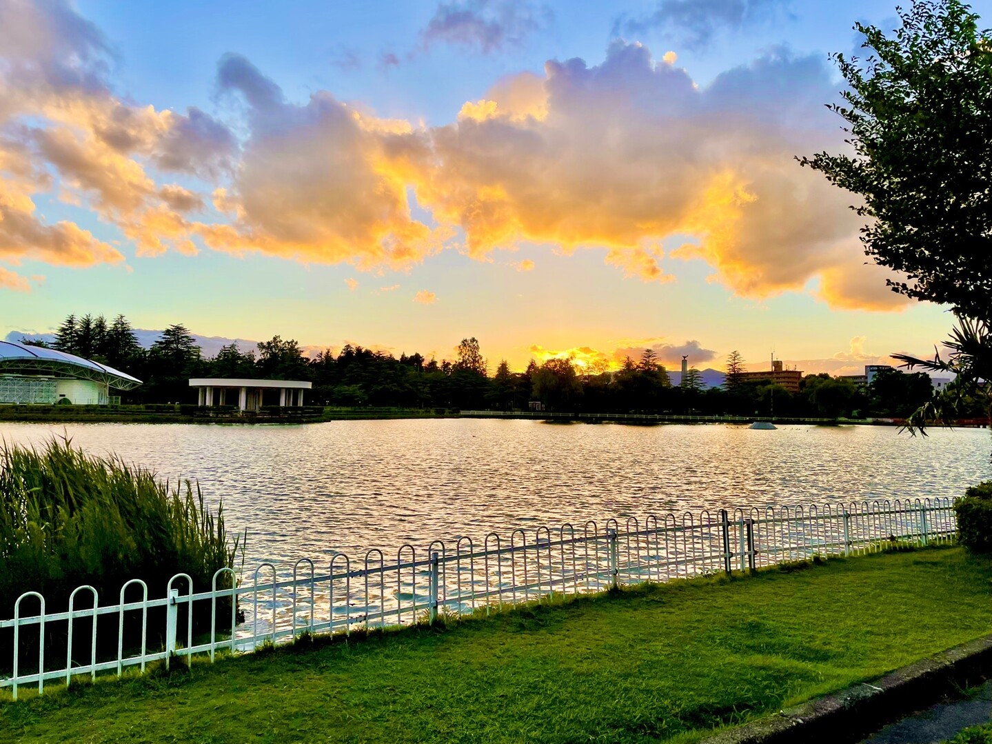 2022.08.18(木) 21:50 / ケロケロ🐸🐸🐸さんのモーメント | YAMAP / ヤマップ