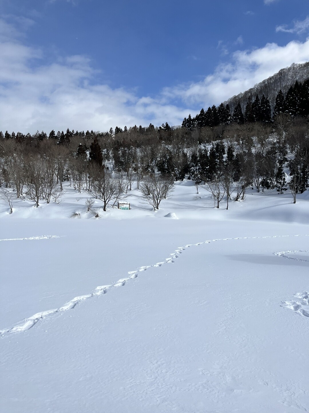 取立山 / coyaさんの取立山の活動データ | YAMAP / ヤマップ