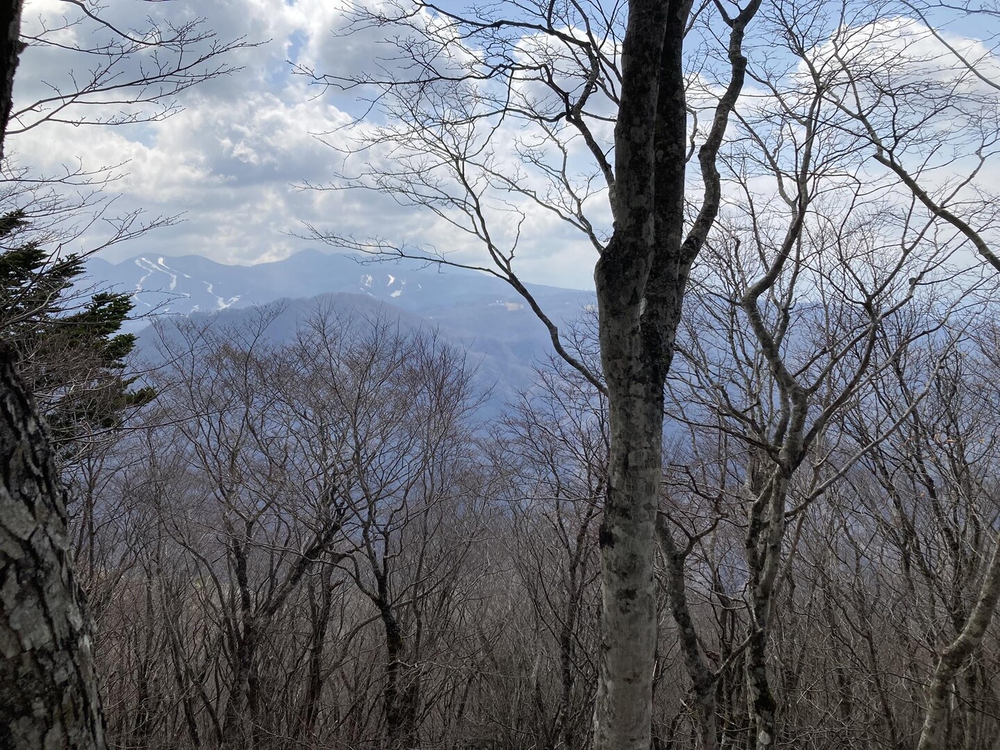塩沢山 / saさんの塩沢山の活動データ | YAMAP / ヤマップ