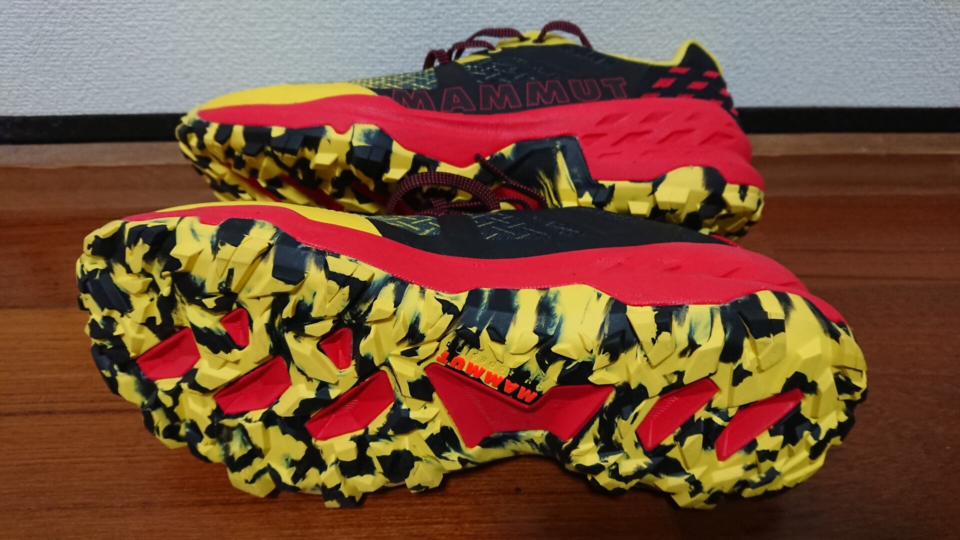 MAMMUT ネットでポチりました‼️ ... / norisanさんのモーメント | YAMAP / ヤマップ