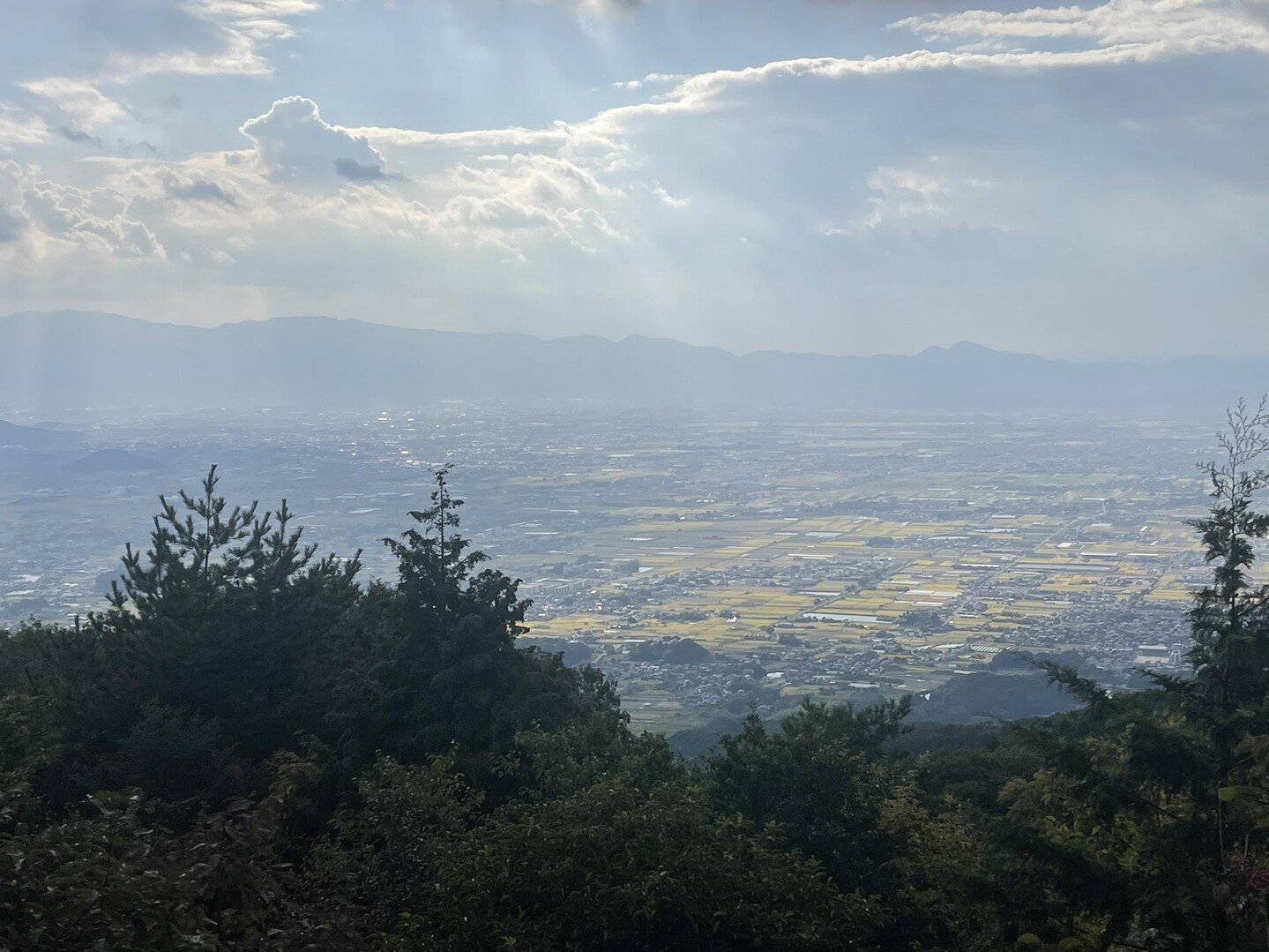 龍王山 / yukaさんの三輪山・巻向山・龍王山の活動日記 | YAMAP / ヤマップ