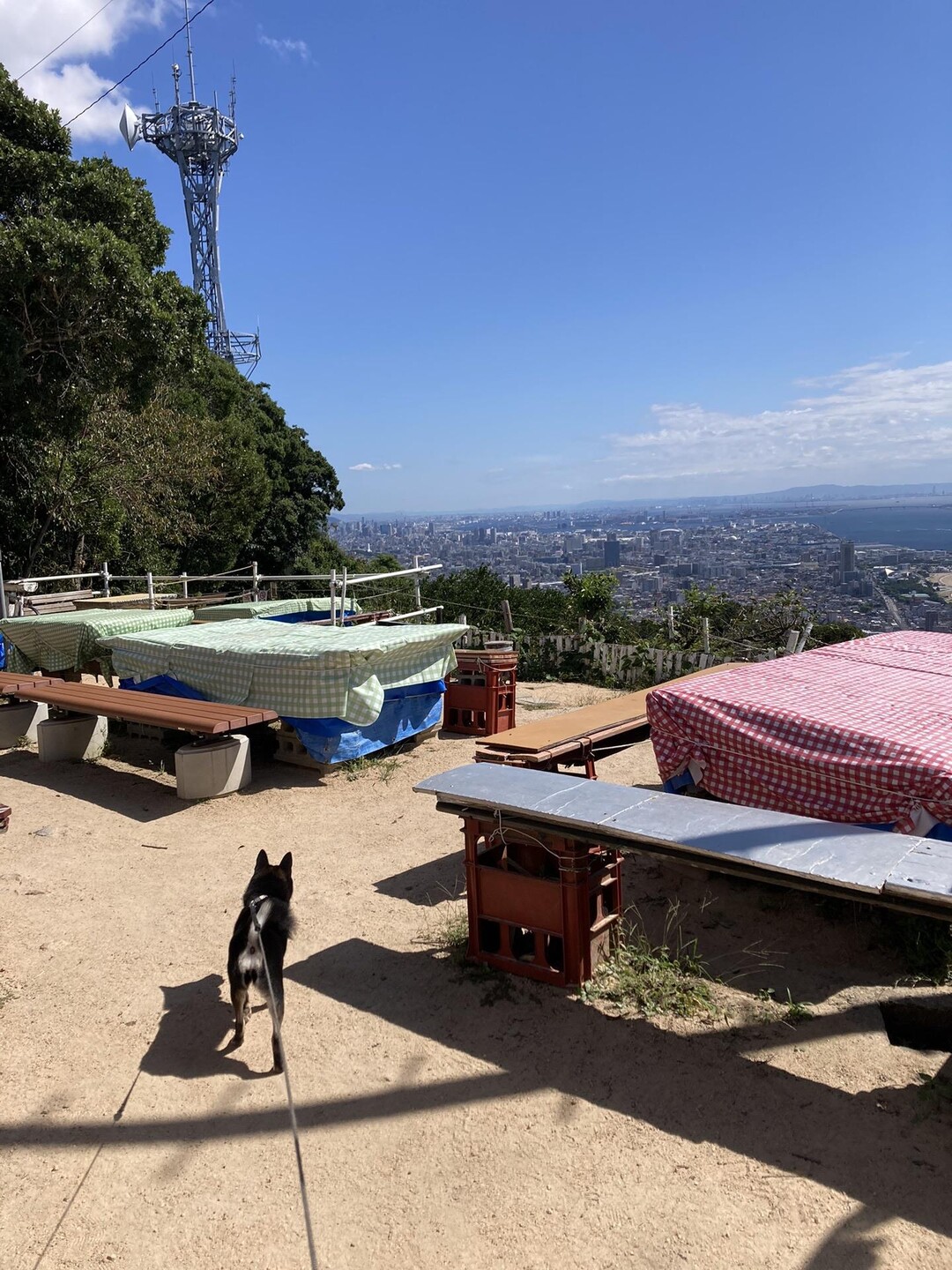 旗振山2withのぶさん / いとやんさんの六甲山・長峰山・摩耶山の活動データ | YAMAP / ヤマップ