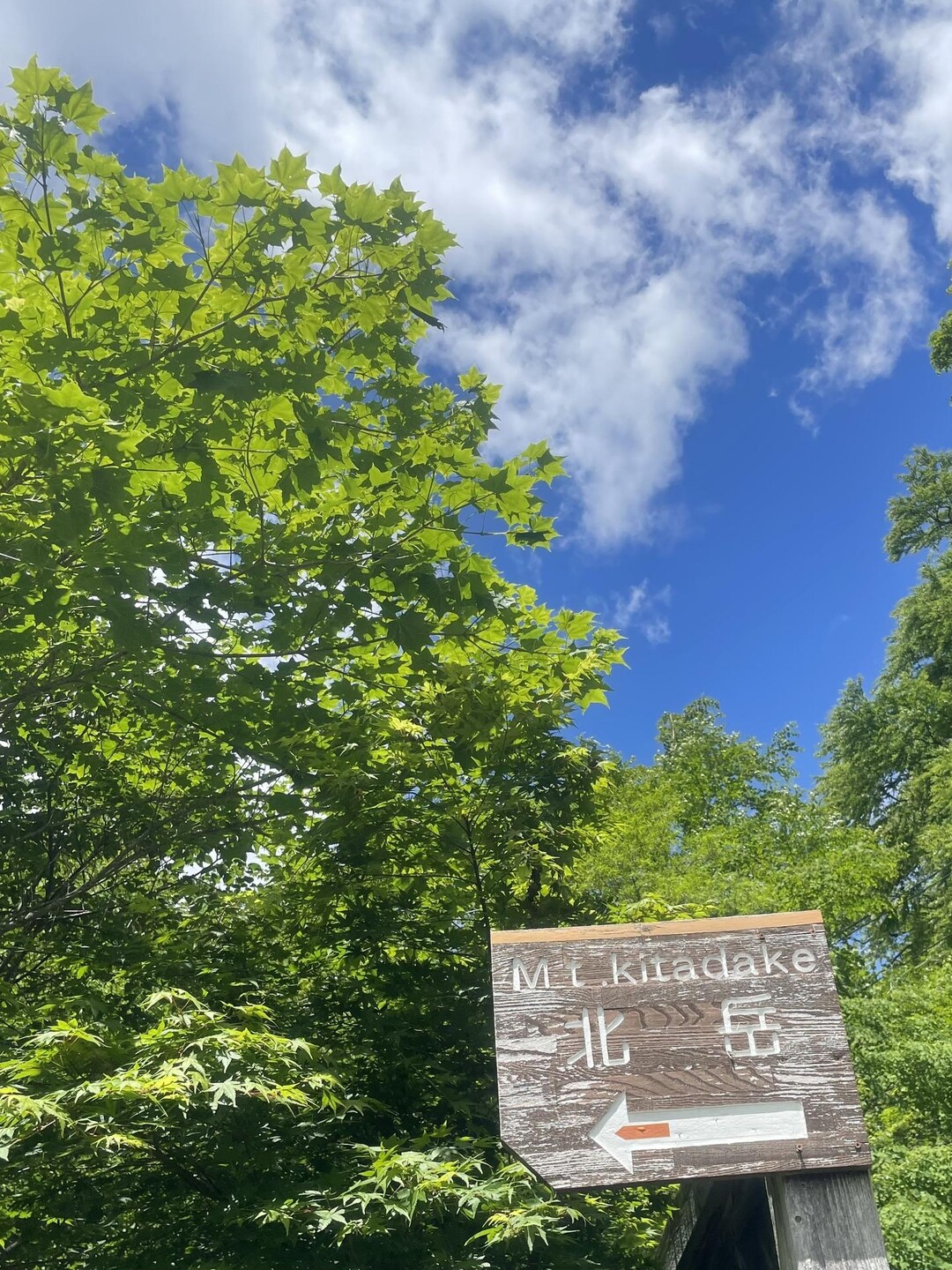 Crazy for you... / yazakiさんの北岳・間ノ岳・農鳥岳の活動データ | YAMAP / ヤマップ