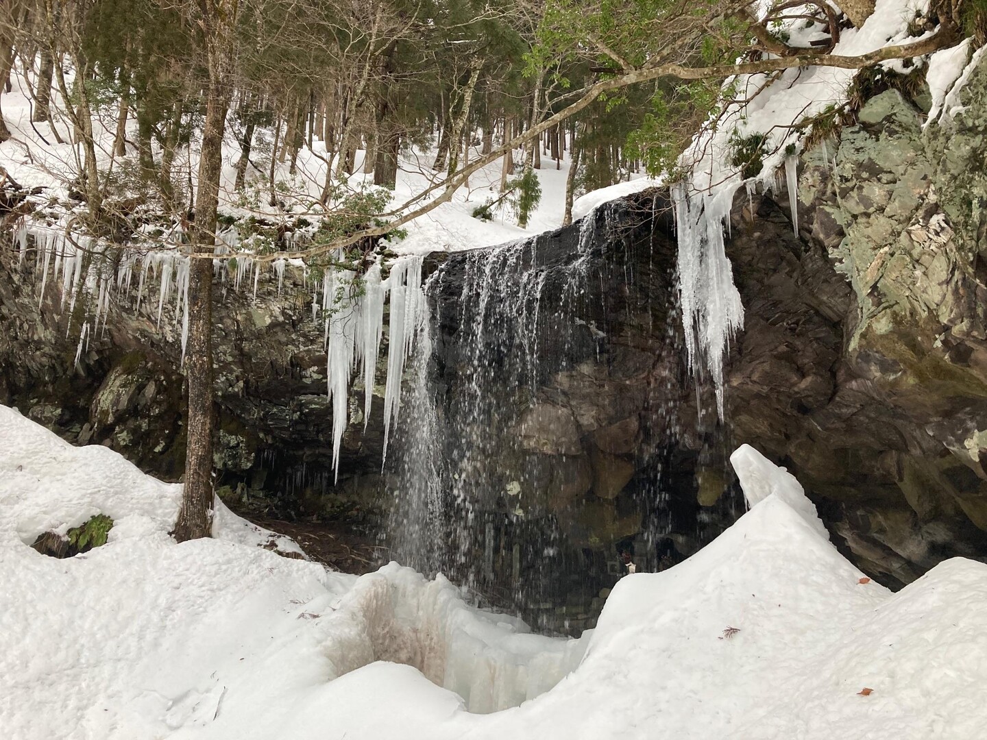 伯州山・霧ヶ原-2023-02-18 / ノリノリさんの伯州山・霧ヶ原の活動データ | YAMAP / ヤマップ