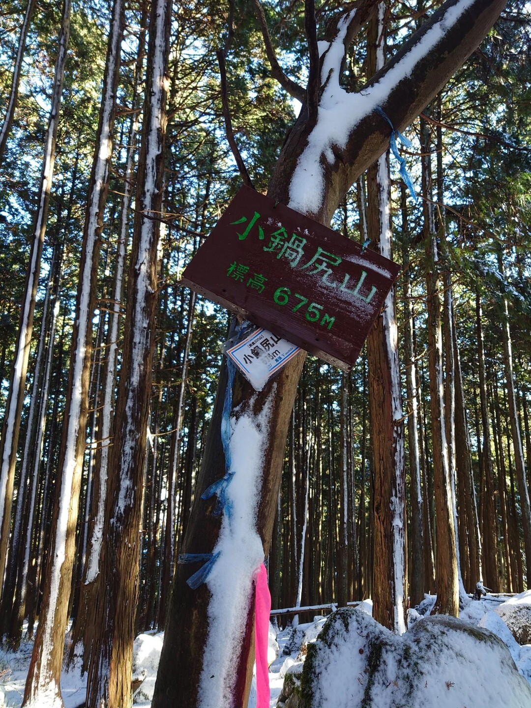 Pハンの日(5)小鍋尻山 / palさんの霊仙山の活動データ | YAMAP / ヤマップ