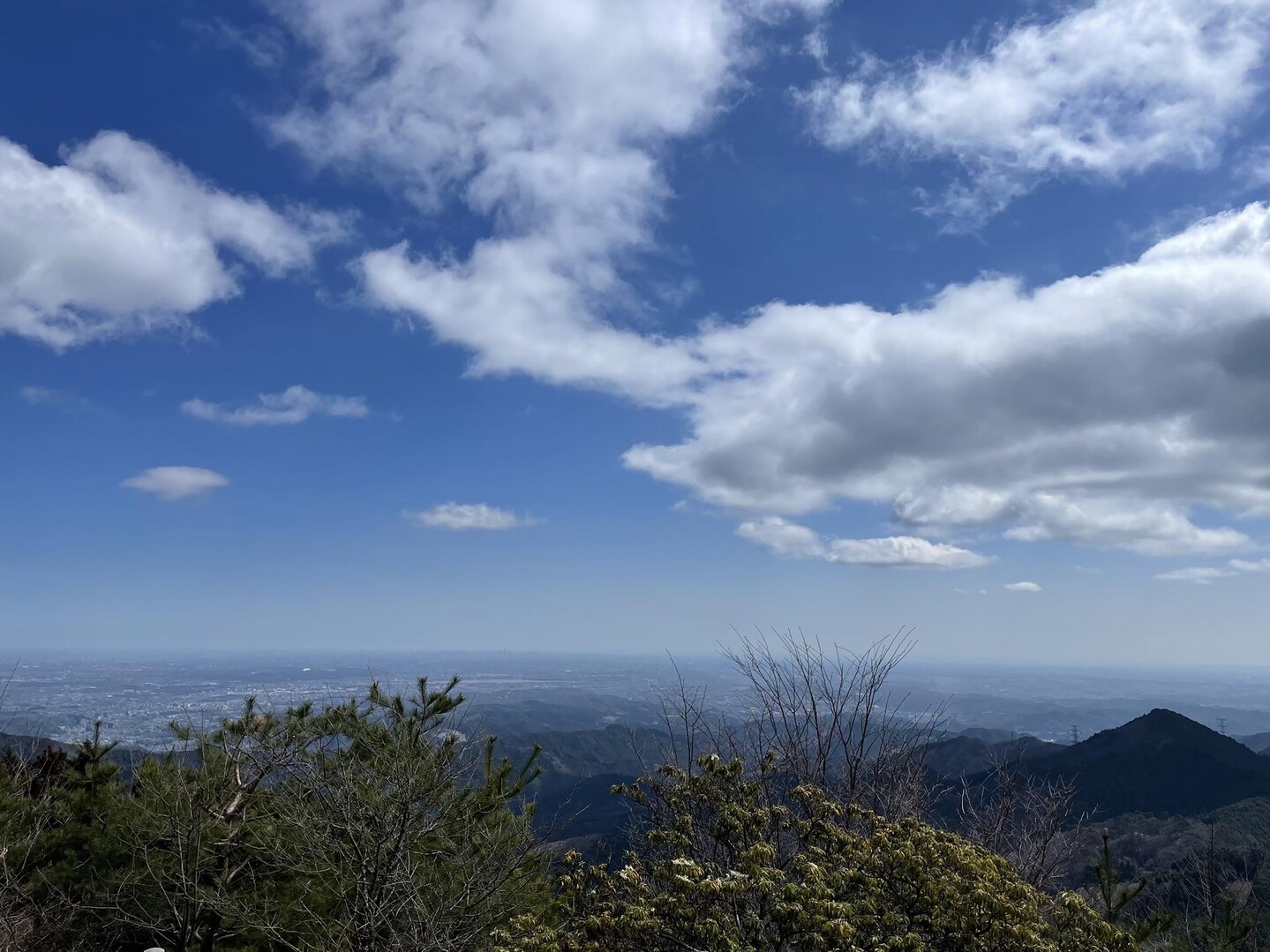 日の出山 / みや様さんのウォーキングの活動データ | YAMAP / ヤマップ