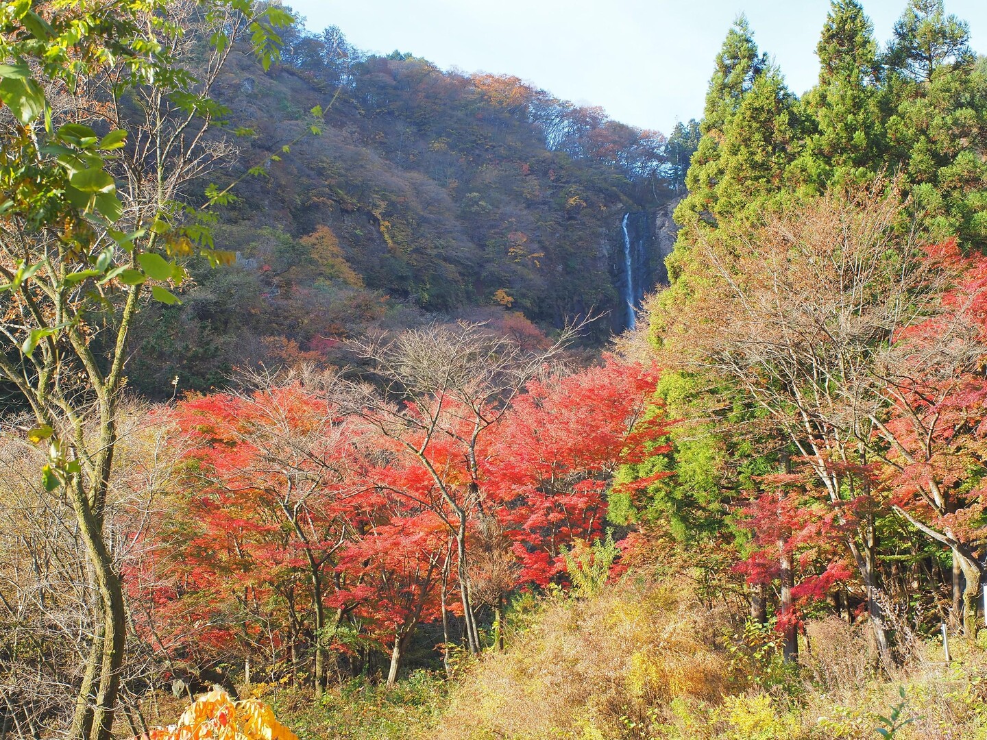 船尾滝〜水沢山112 / Hikoさんの榛名山・天狗山・天目山の活動データ | YAMAP / ヤマップ