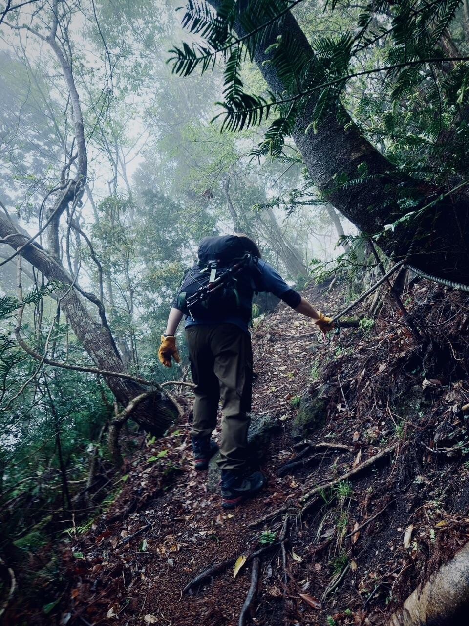 yokoのページ | YAMAP / ヤマップ