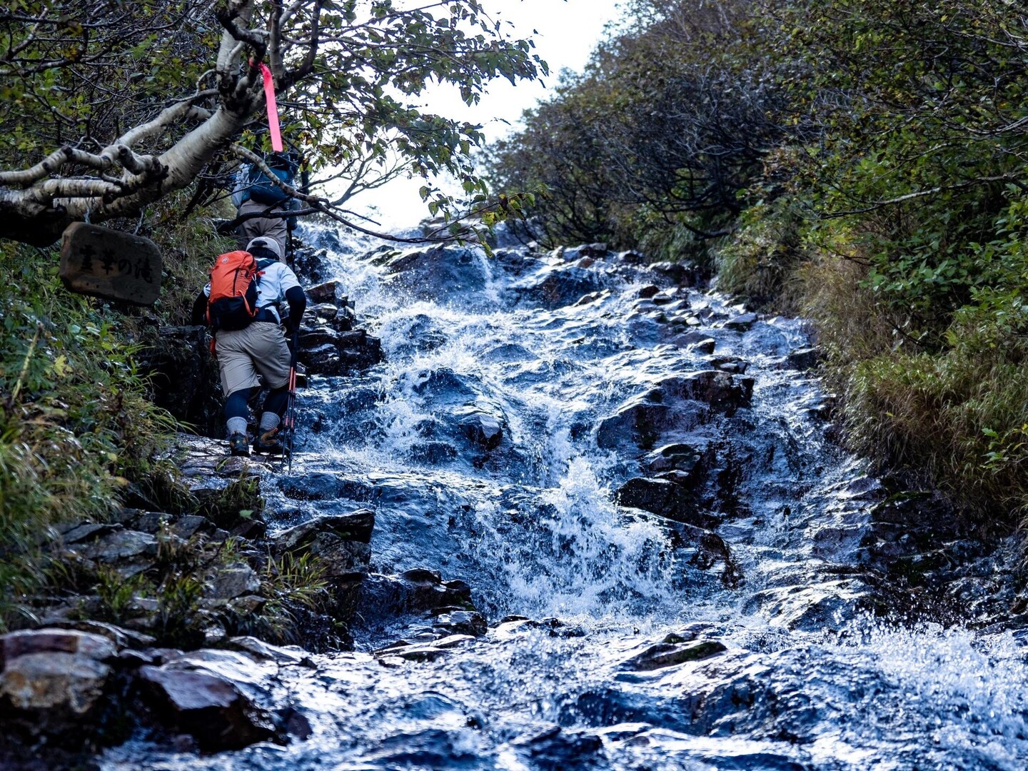 斜里岳 / k-sukeさんの斜里岳の活動データ | YAMAP / ヤマップ