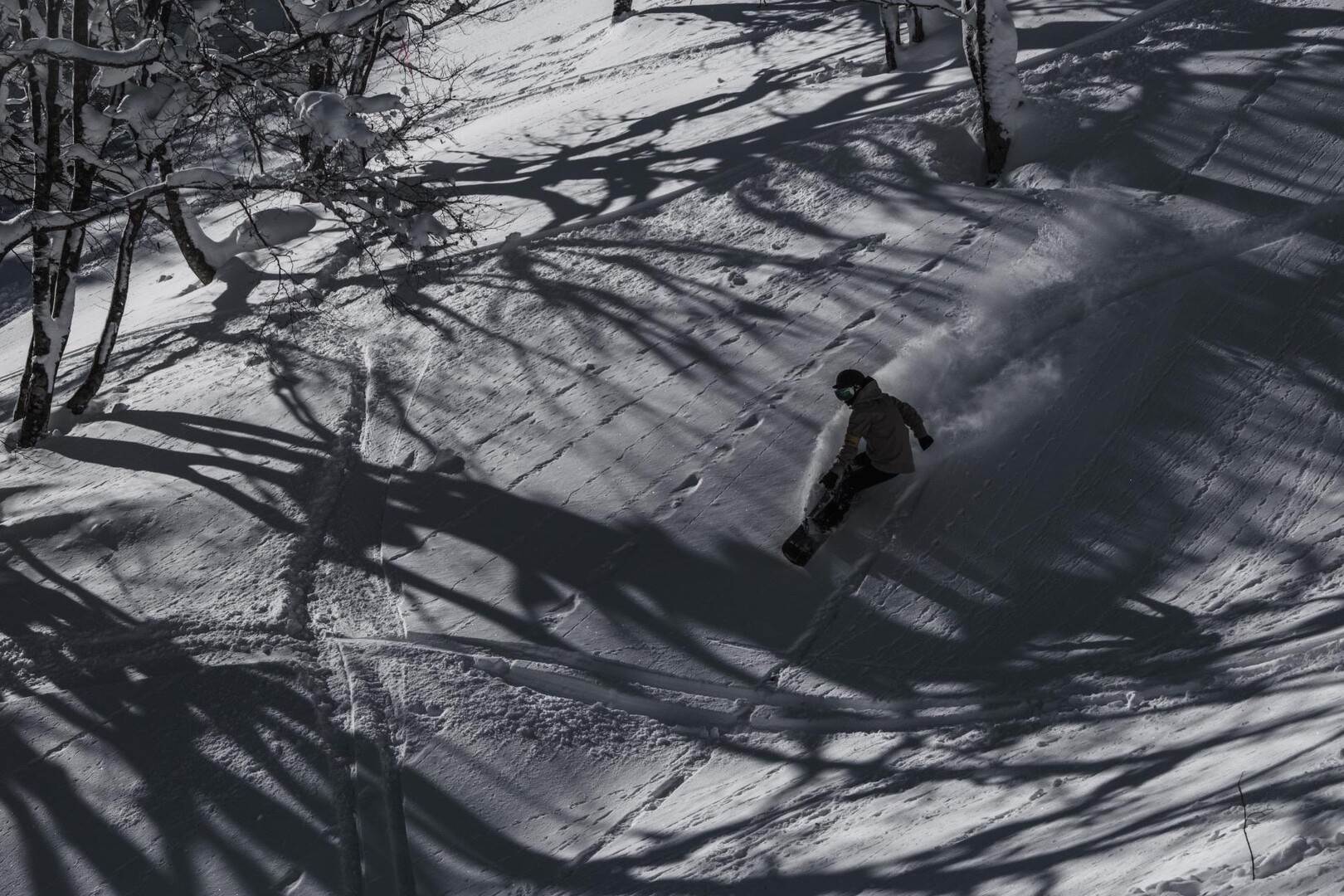 あっぴ / みほめさんの岩手山・八幡平・安比高原 50km トレイルの活動データ | YAMAP / ヤマップ