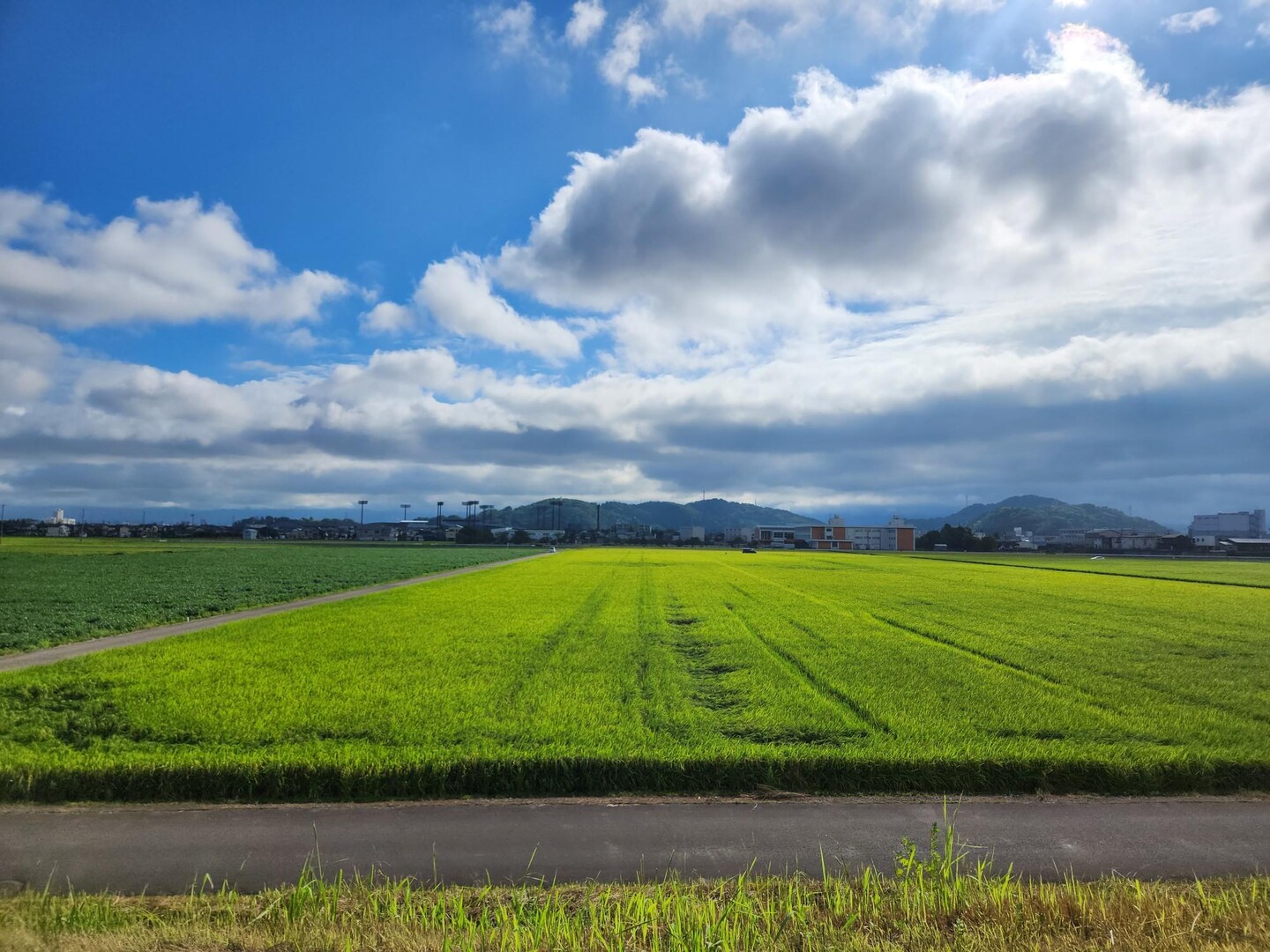 サイクリング🚵‍♀️城山 / obamaさんの茶臼山の活動データ | YAMAP / ヤマップ