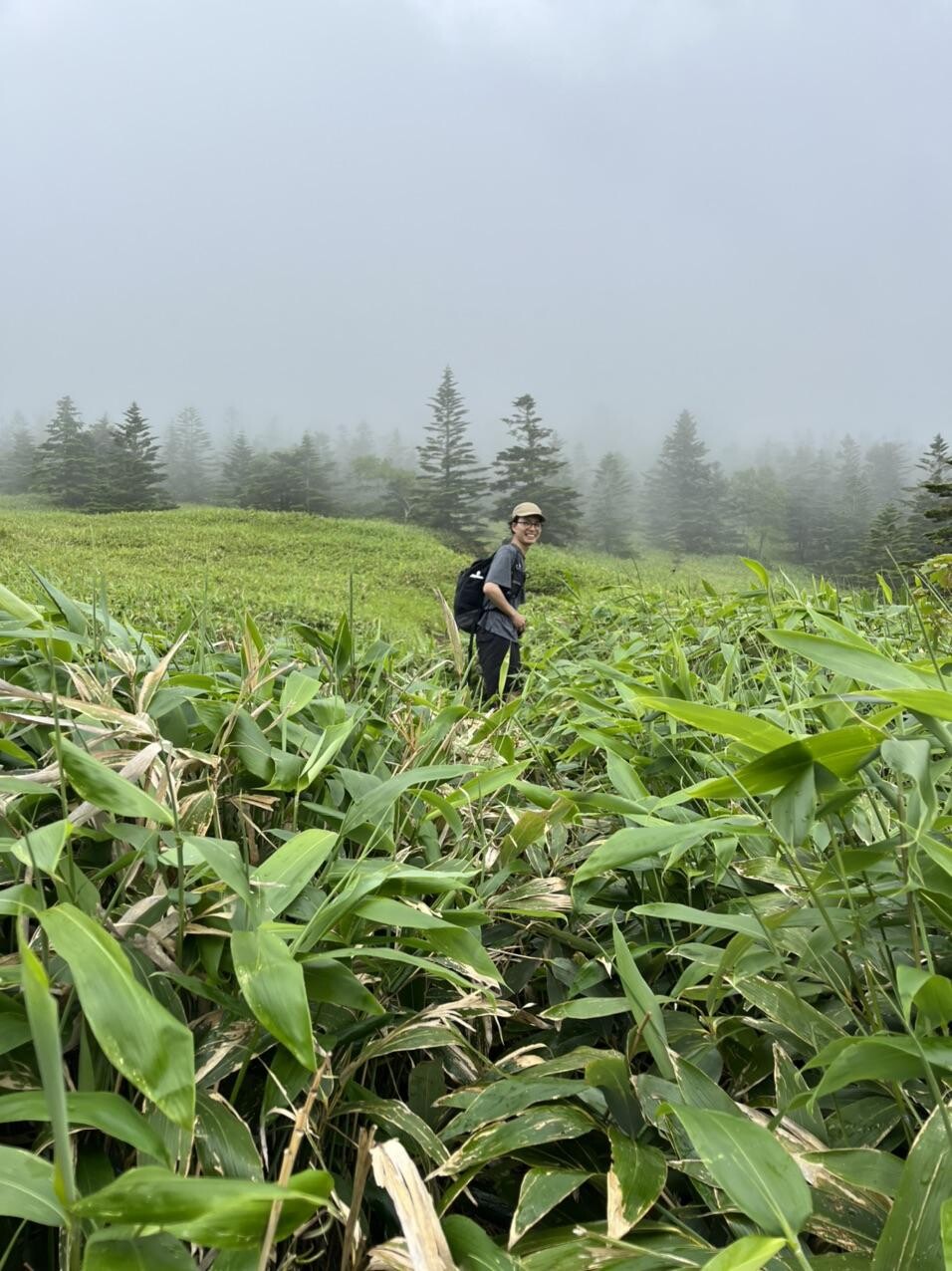 STのページ | YAMAP / ヤマップ