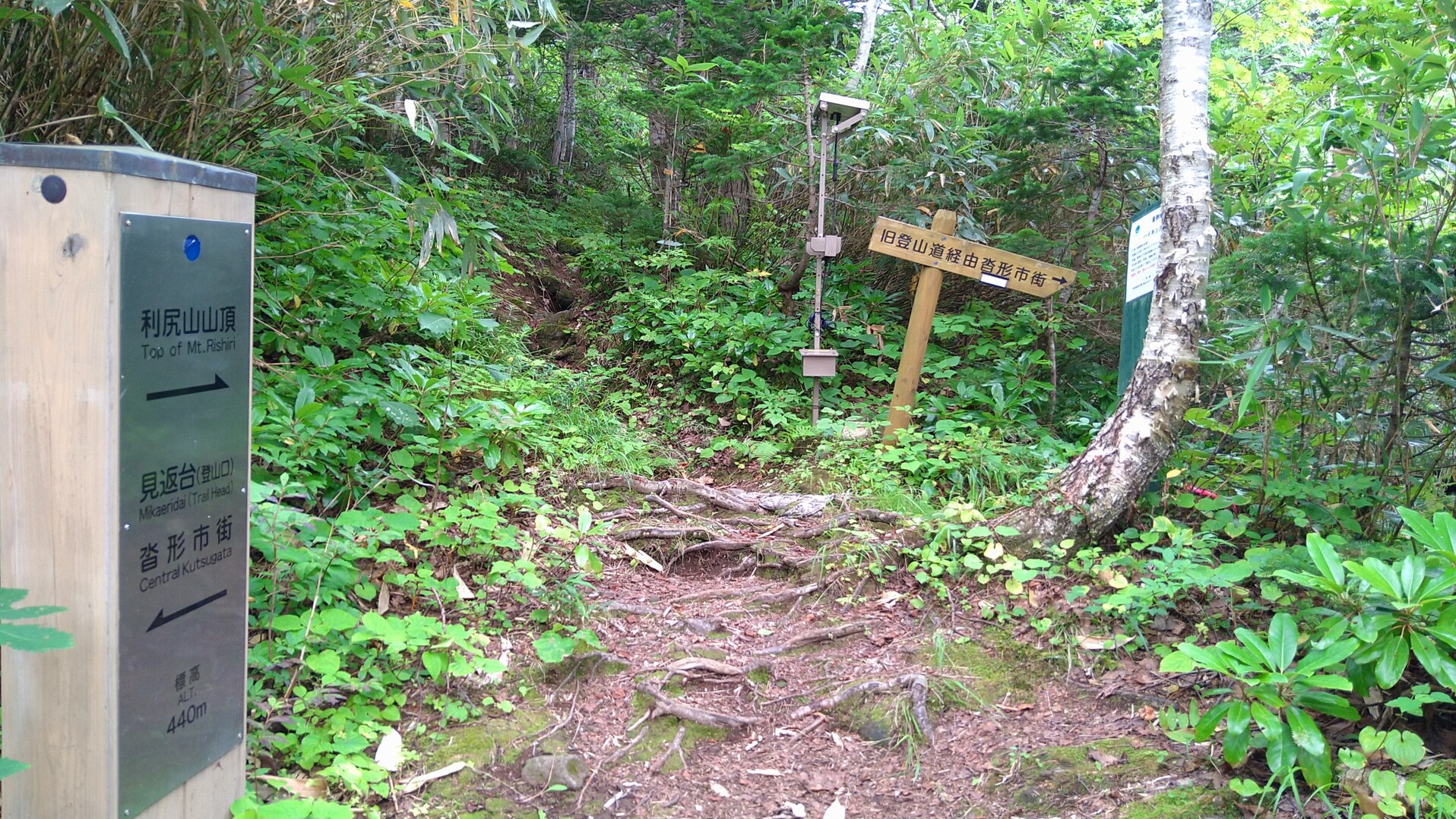 Mixさんの投稿したフィールドメモ | YAMAP / ヤマップ