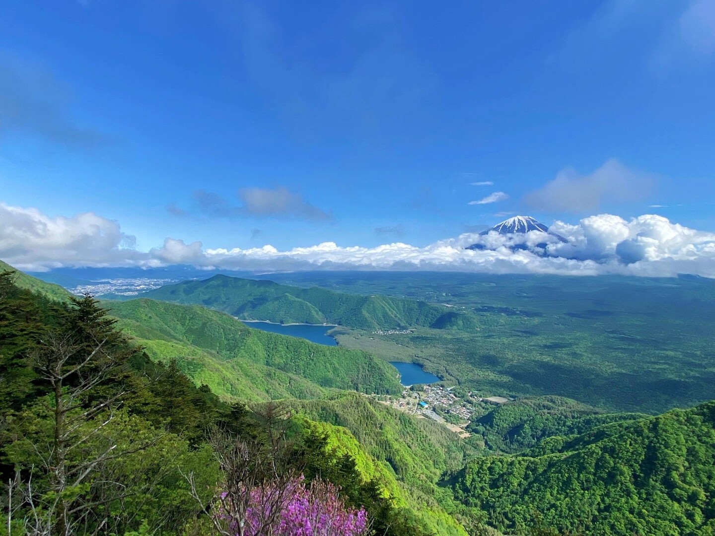 毛無山～王岳⛰縦走💨登山者用🅿️～いやしの里根場まで🚶‍♀️ / Nmamaさんの節刀ヶ岳・破風山・足和田山の活動データ | YAMAP / ヤマップ