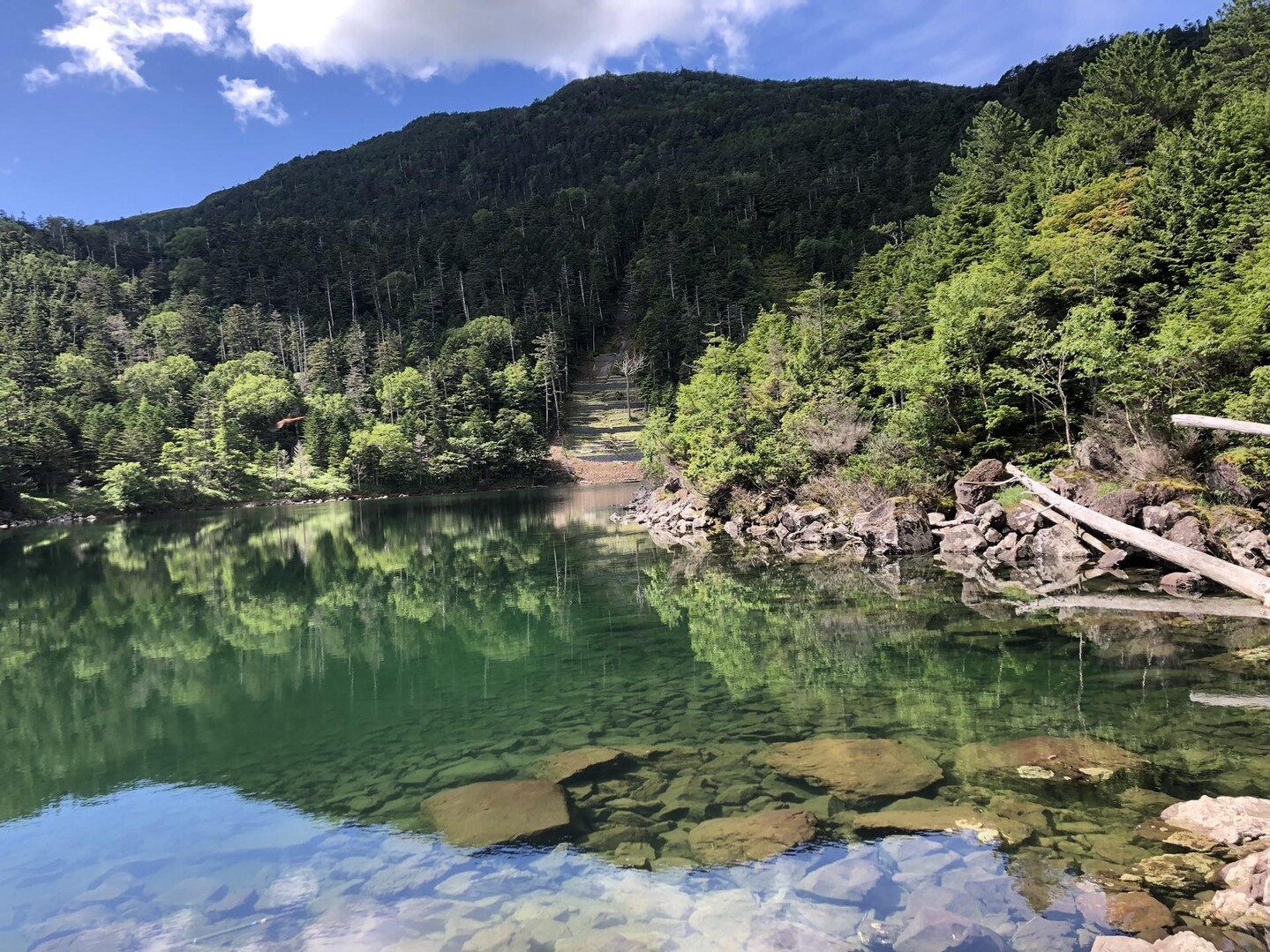 蓼科山・双子山・前掛山・竜ヶ峰 / necomaru Xさんの蓼科山・横岳・縞枯山の活動データ | YAMAP / ヤマップ