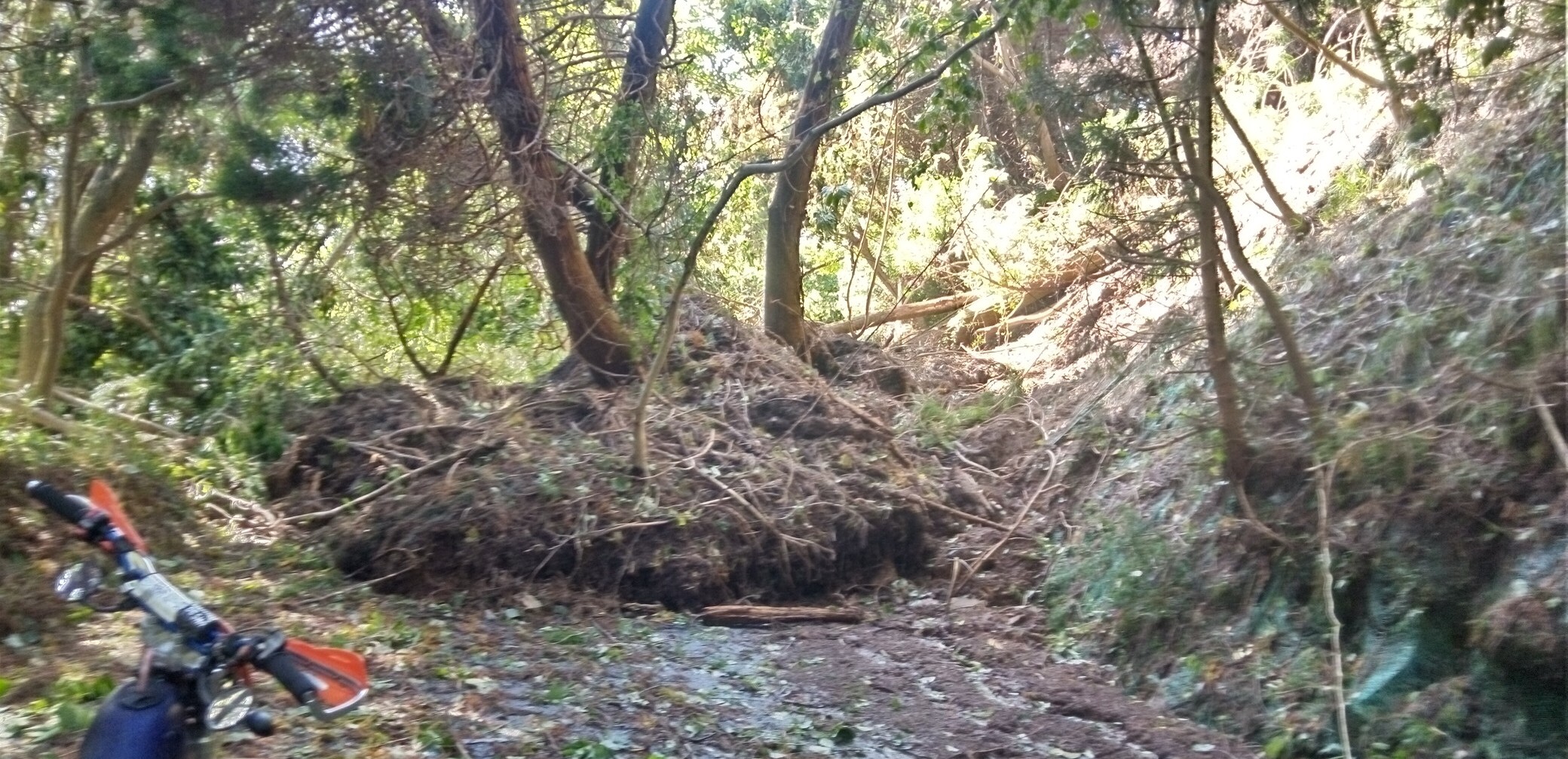 由布市-2022-09-20 中部林道 / 103-3さんの由布市の活動データ | YAMAP / ヤマップ