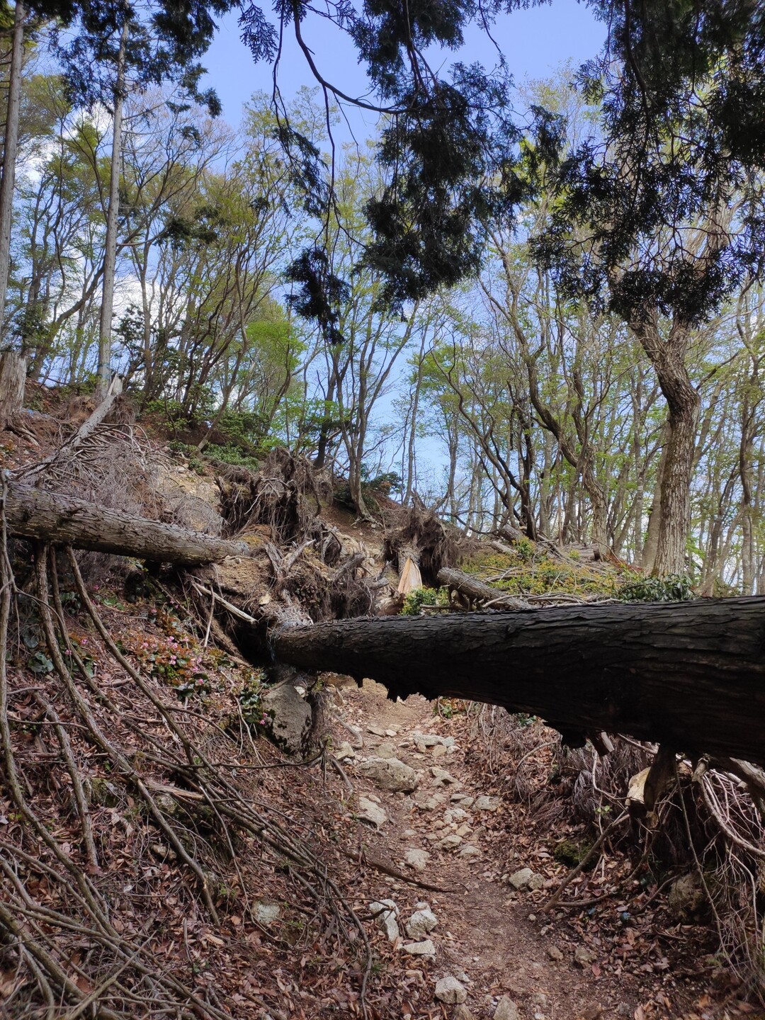 Alex Kudzinさんの投稿したフィールドメモ | YAMAP / ヤマップ