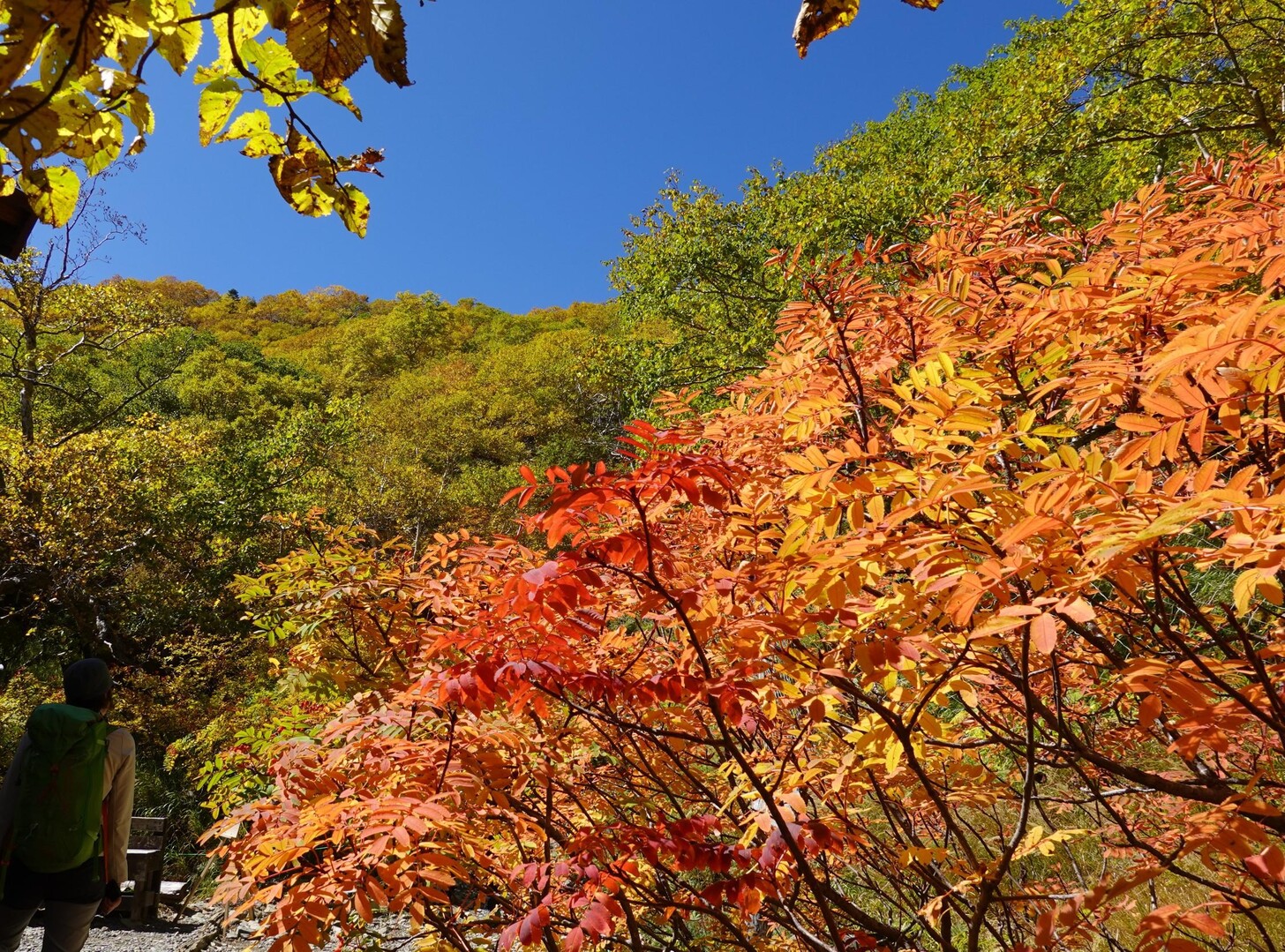 南アルプスの女王仙丈ヶ岳に行って来ました... / kaz oonoさんのモーメント | YAMAP / ヤマップ
