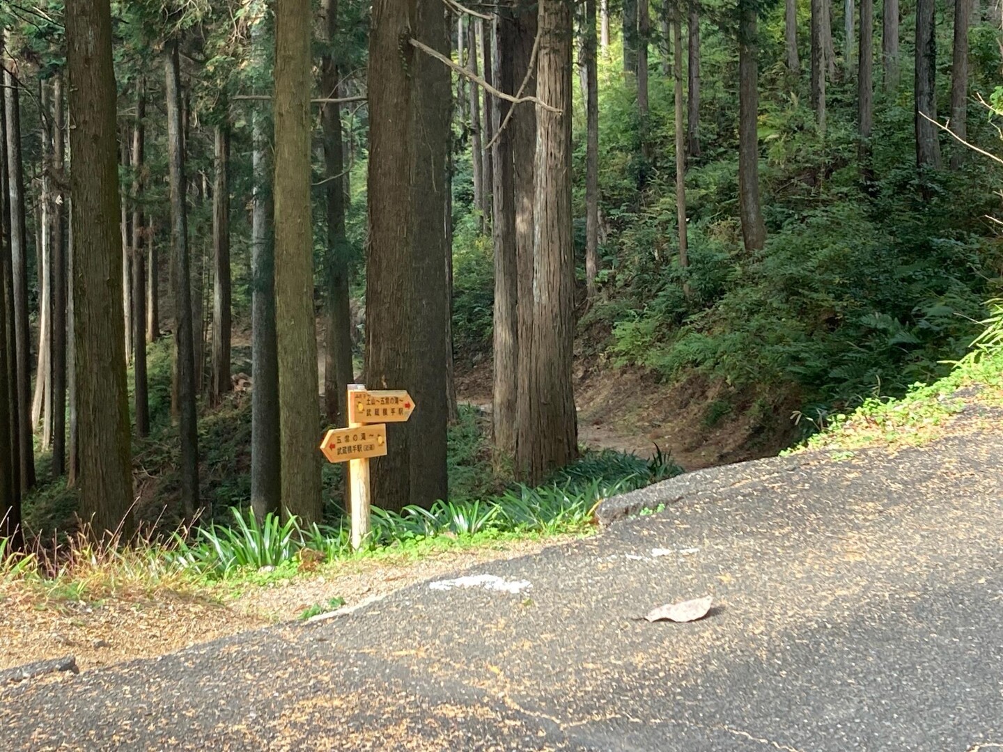 taoさんの投稿したフィールドメモ | YAMAP / ヤマップ