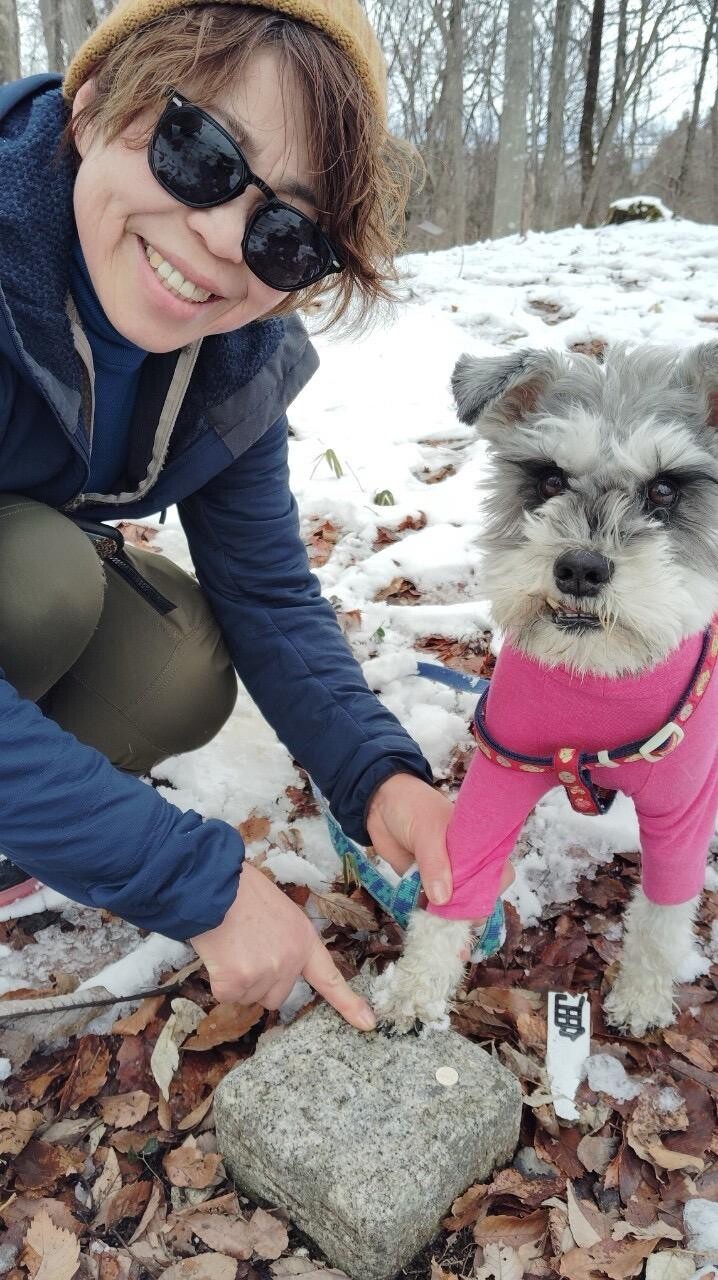 雷神山(岩手) / megu さんの北上市の活動データ | YAMAP / ヤマップ
