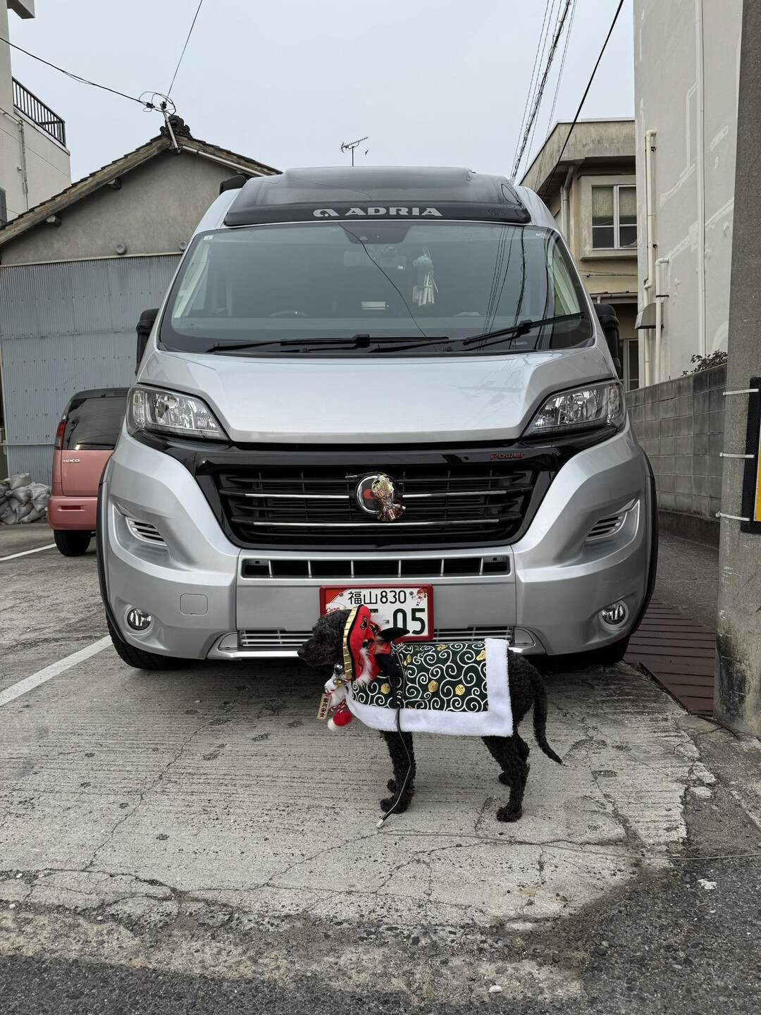 ☁️今日のお散歩🐍🎍 ⛩️地元の氏神... / GHハコさんのモーメント | YAMAP / ヤマップ