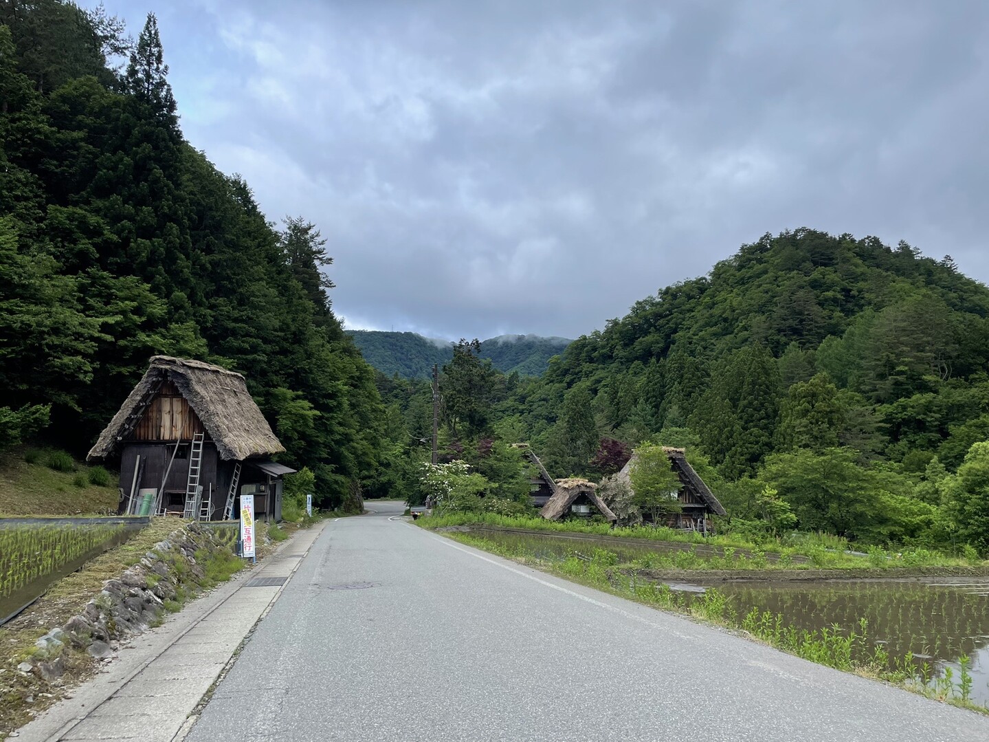 やっちゃった…| ू･᷄ω･᷅)｡oO ... / ゴン太さんのモーメント | YAMAP / ヤマップ