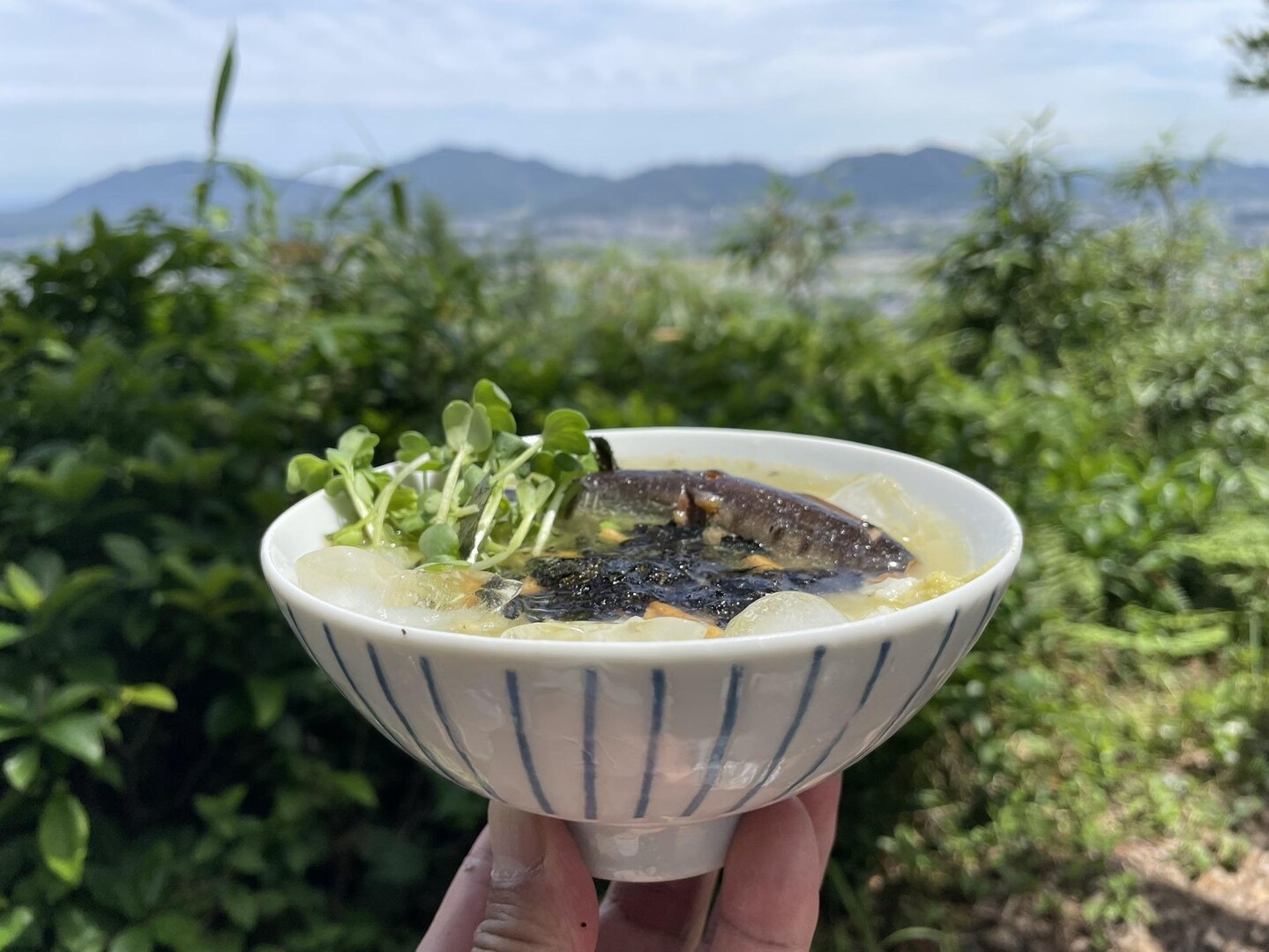 許斐山・尾立山・千歩山 / ka-chuさんの許斐山の活動データ | YAMAP / ヤマップ