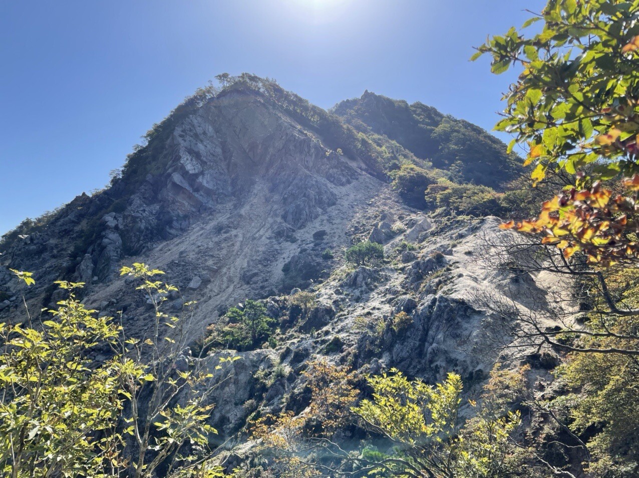 鎌ヶ岳⛰ / Reikoさんの入道ヶ岳・鎌ヶ岳・仙ヶ岳の活動データ | YAMAP / ヤマップ