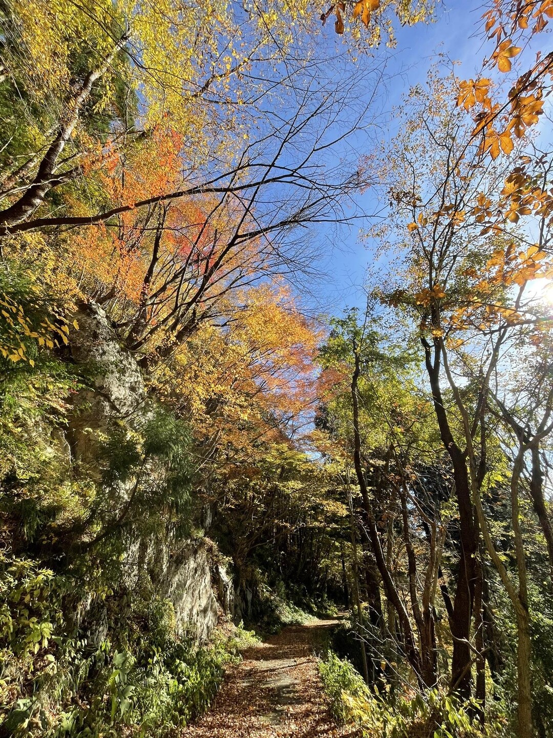 【🍁紅葉の寂地峡と寂地林道】錦ヶ岳・右谷山・寂地山・額々山 / Nockyさんの吉和冠山（安芸冠山）・広高山・寂地山の活動データ | YAMAP / ヤマップ