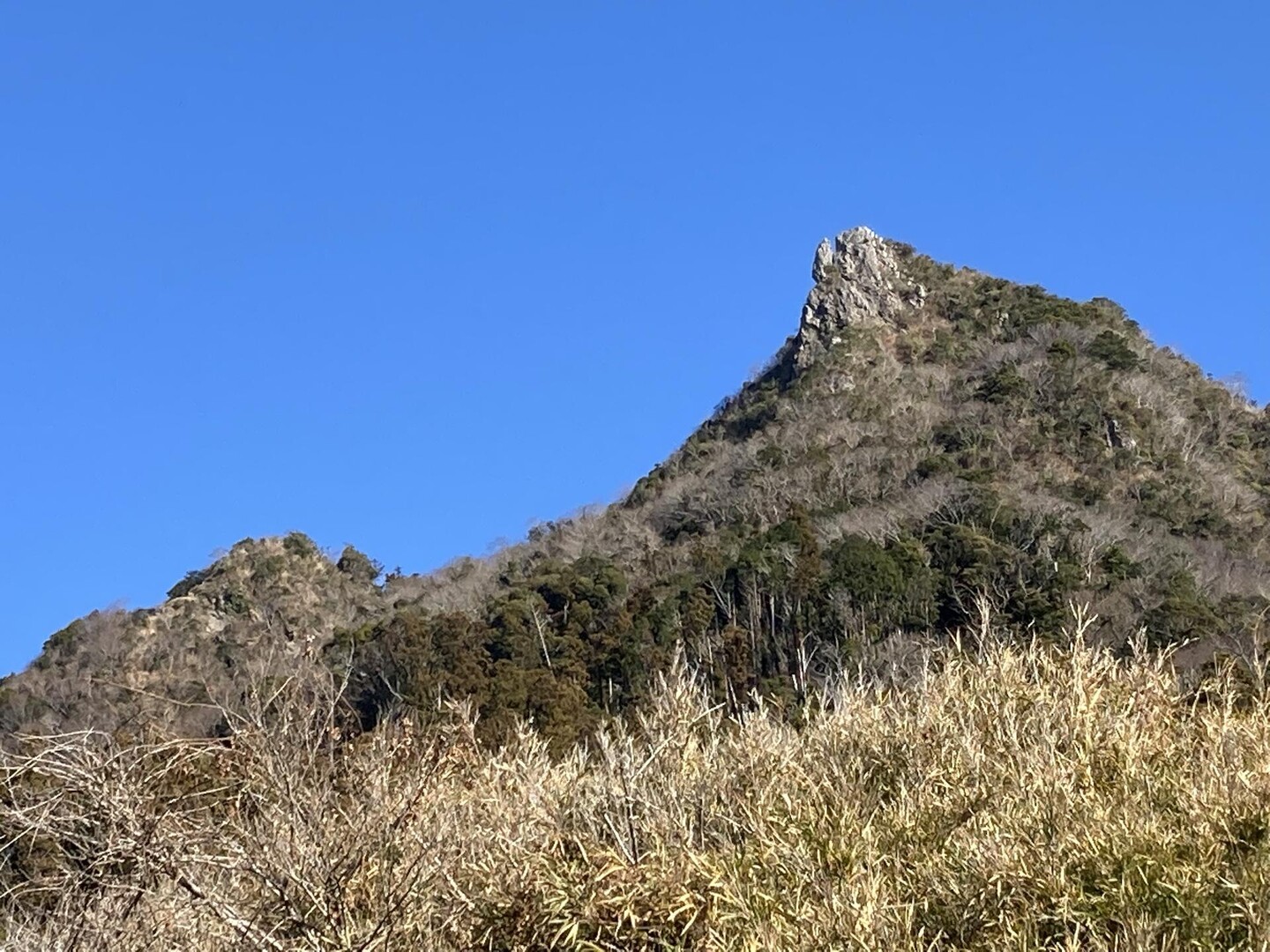 伊予ヶ岳・富山・御殿山 / taka.run-skiさんの伊予ヶ岳・人骨山・津森山の活動データ | YAMAP / ヤマップ
