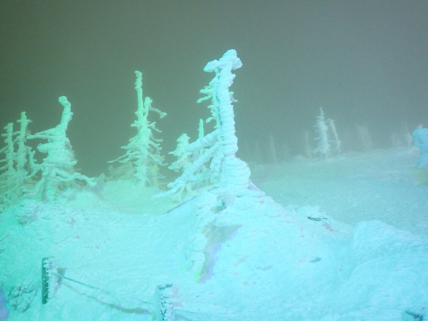 真っ白だった蔵王 / Rioさんの蔵王山・雁戸山・不忘山の活動データ | YAMAP / ヤマップ