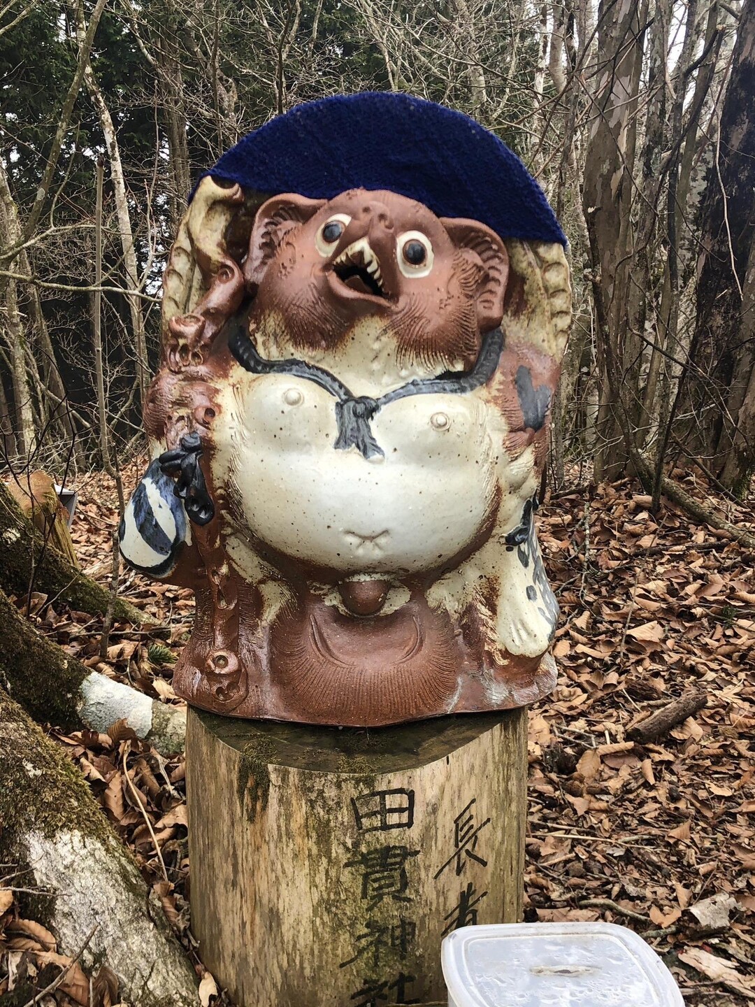 たぬき推し…長者ヶ岳・天子ヶ岳 / hiro:nさんの長者ヶ岳・天子ヶ岳の活動データ | YAMAP / ヤマップ