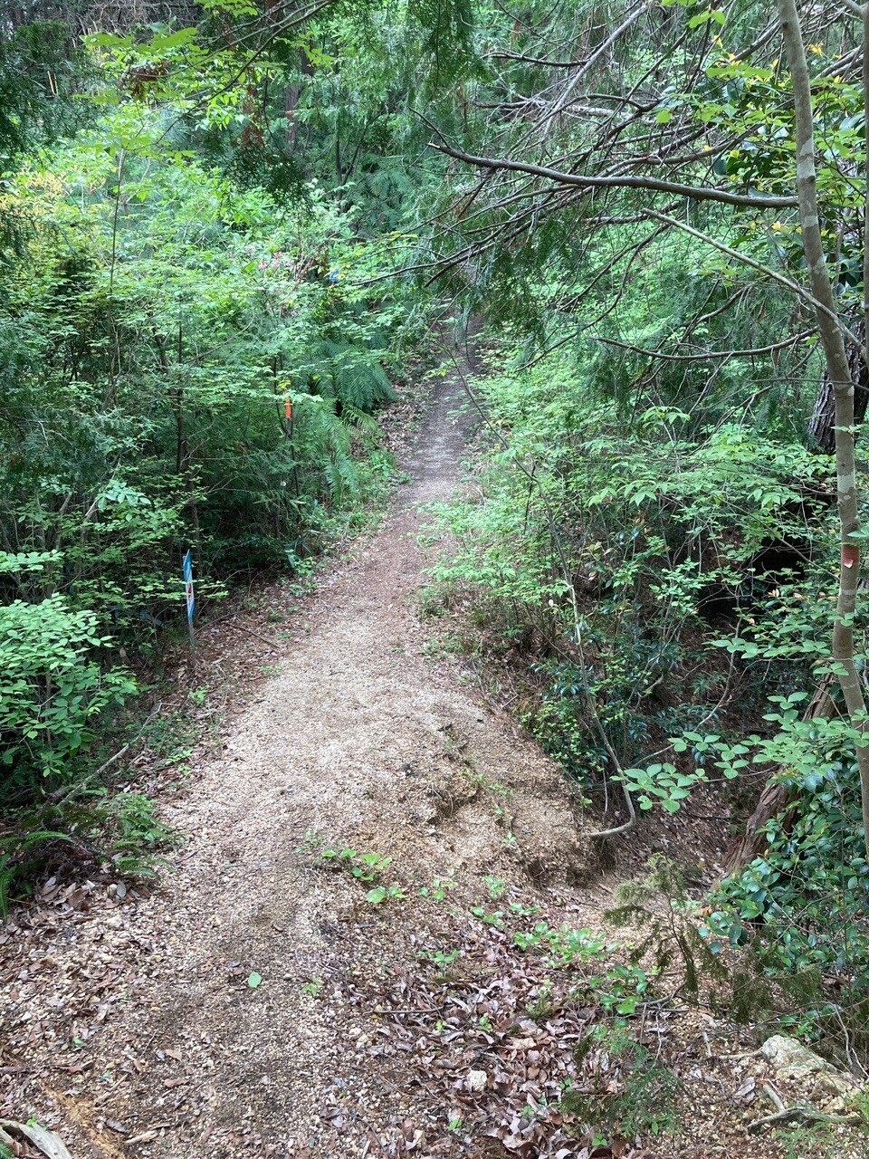 subrosaさんの投稿したフィールドメモ | YAMAP / ヤマップ