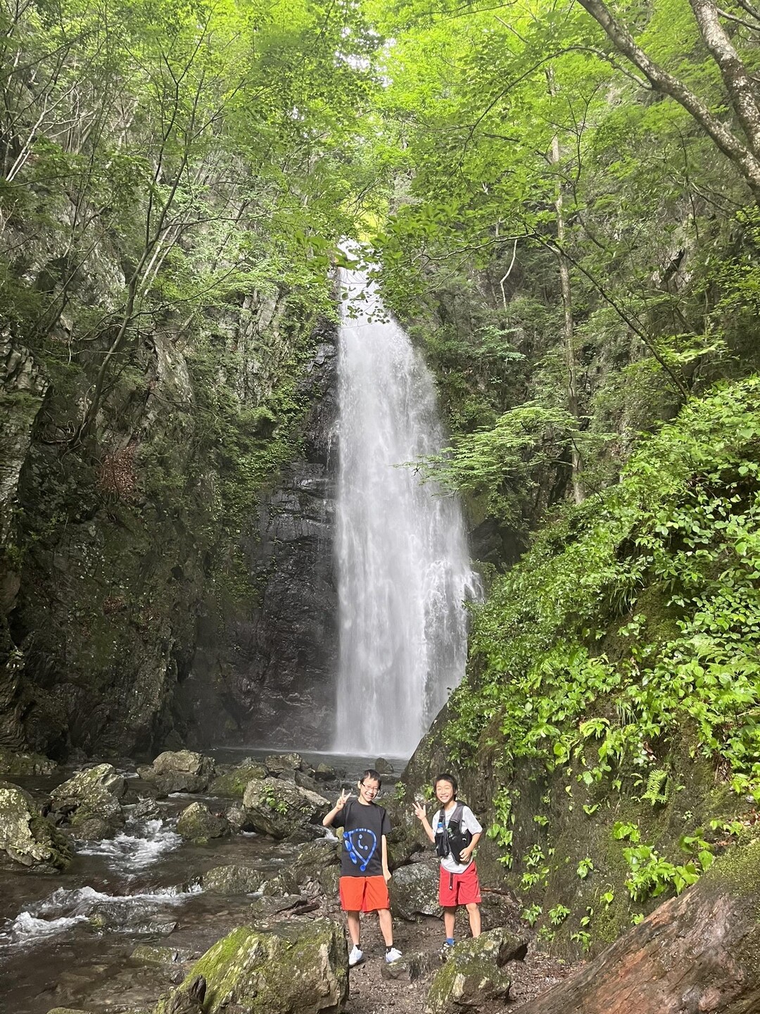 川苔山（白丸駅〜奥多摩駅） / 山と飯 U.L.HIKEさんの川苔山（川乗山）の活動データ | YAMAP / ヤマップ