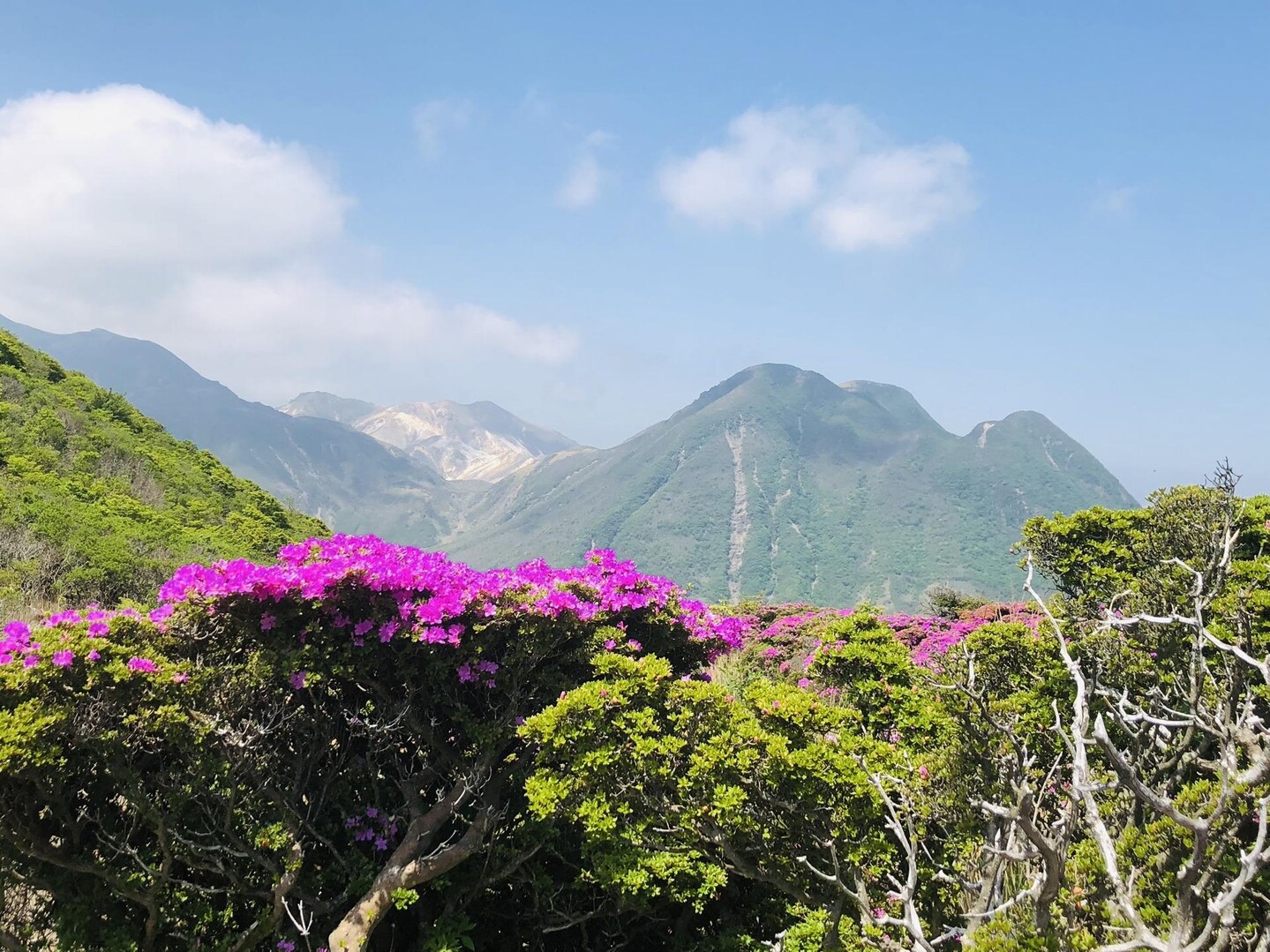 男池〜大戸越(うとんごし)2024-5/26 / ohikioyaさんの九重山（久住山）・大船山・星生山の活動日記 | YAMAP / ヤマップ