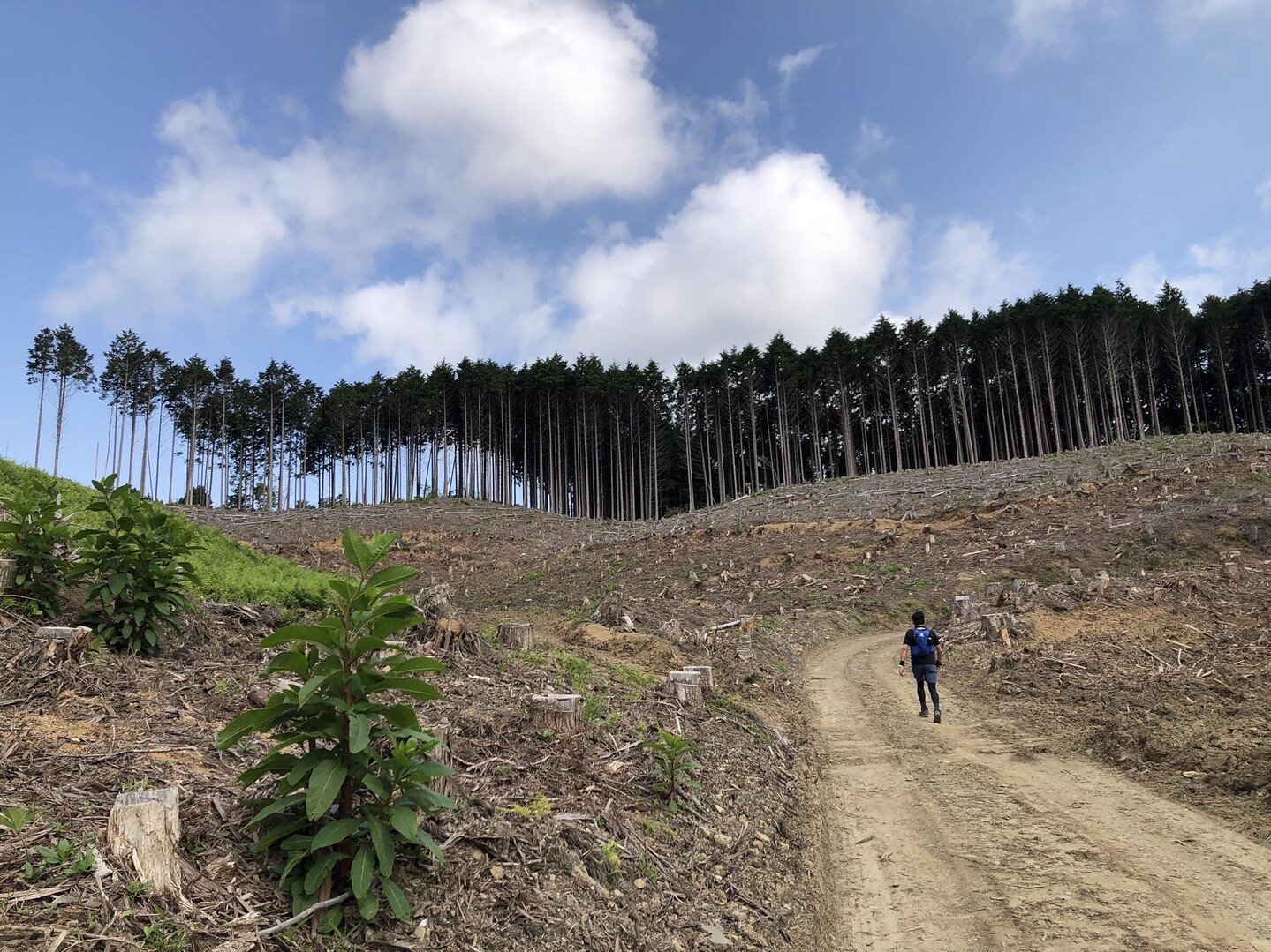 多度山〜養老山 40Km縦走 / AMINさんの多度山・美濃松山・石津御嶽の活動データ | YAMAP / ヤマップ