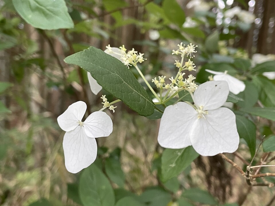 鳥見山（奈良県宇陀市）の最新登山情報 / 人気の登山ルート、写真、天気など | YAMAP / ヤマップ