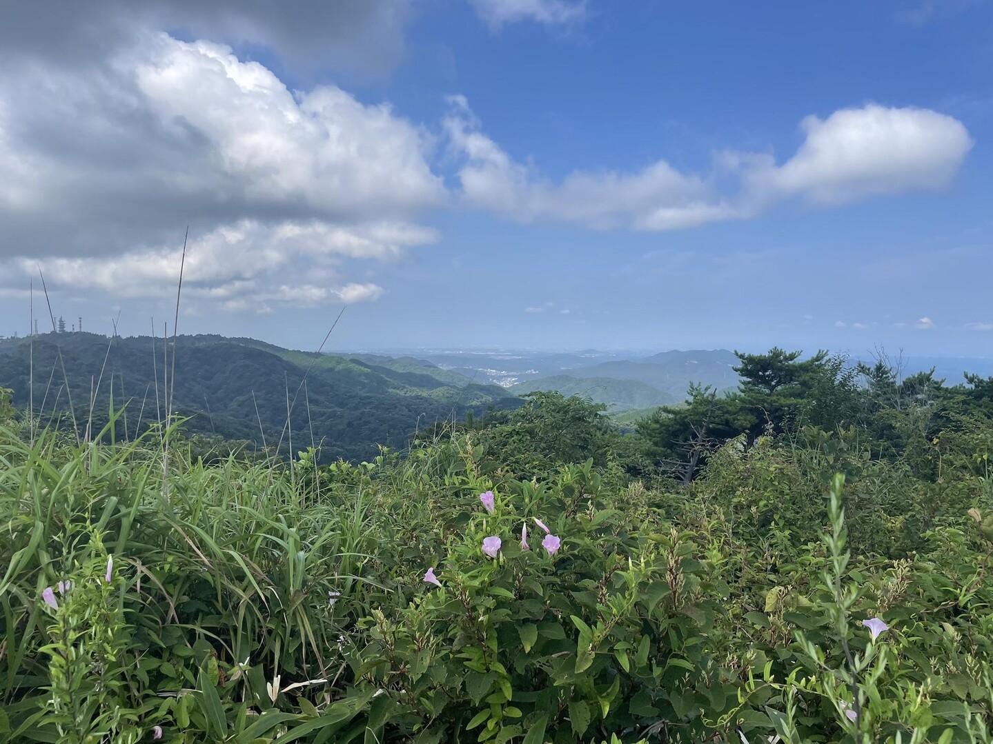 六甲山 / Volvic-201さんの六甲山・長峰山・摩耶山の活動日記 | YAMAP / ヤマップ