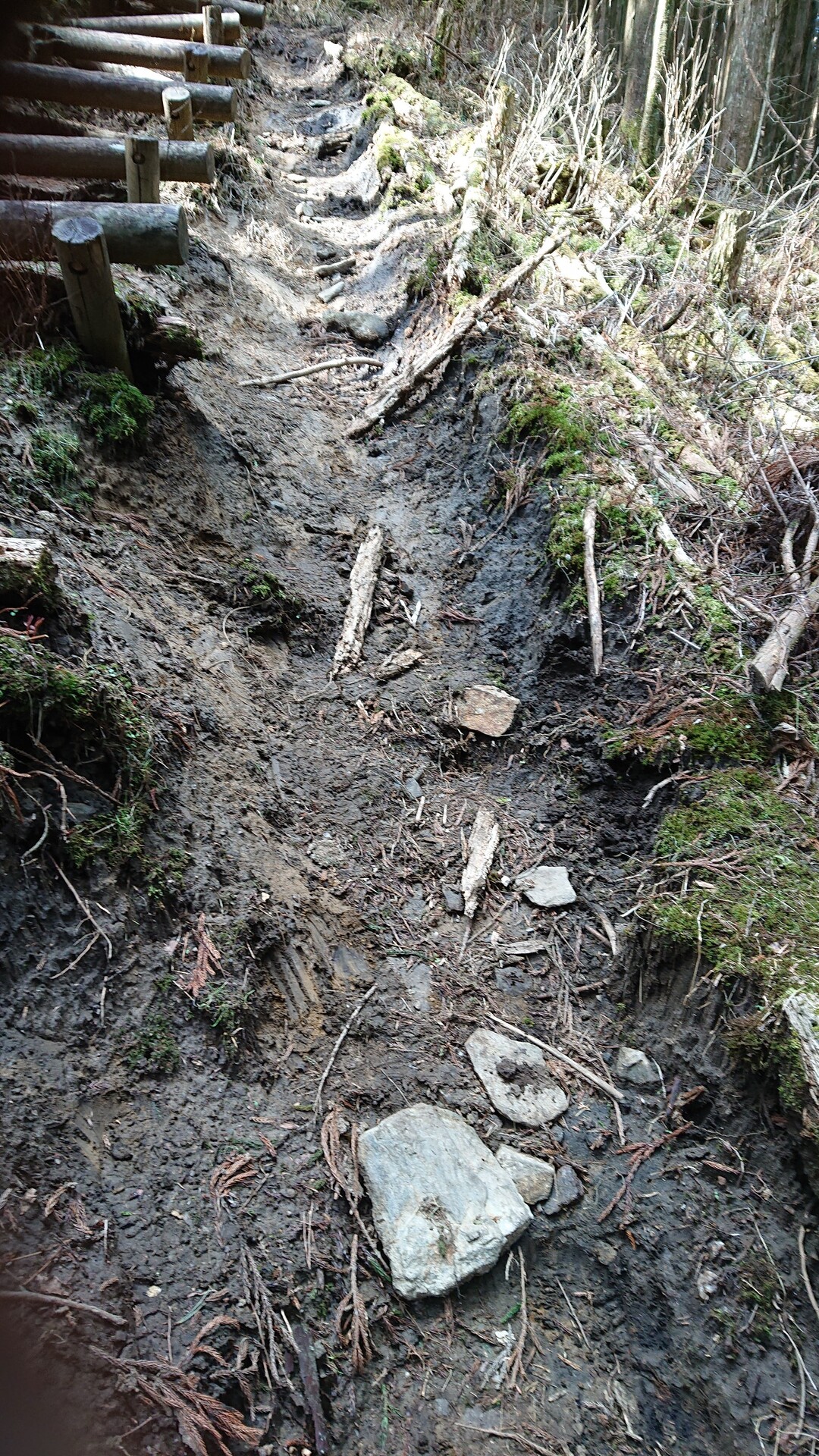 Minoruさんの投稿したフィールドメモ | YAMAP / ヤマップ